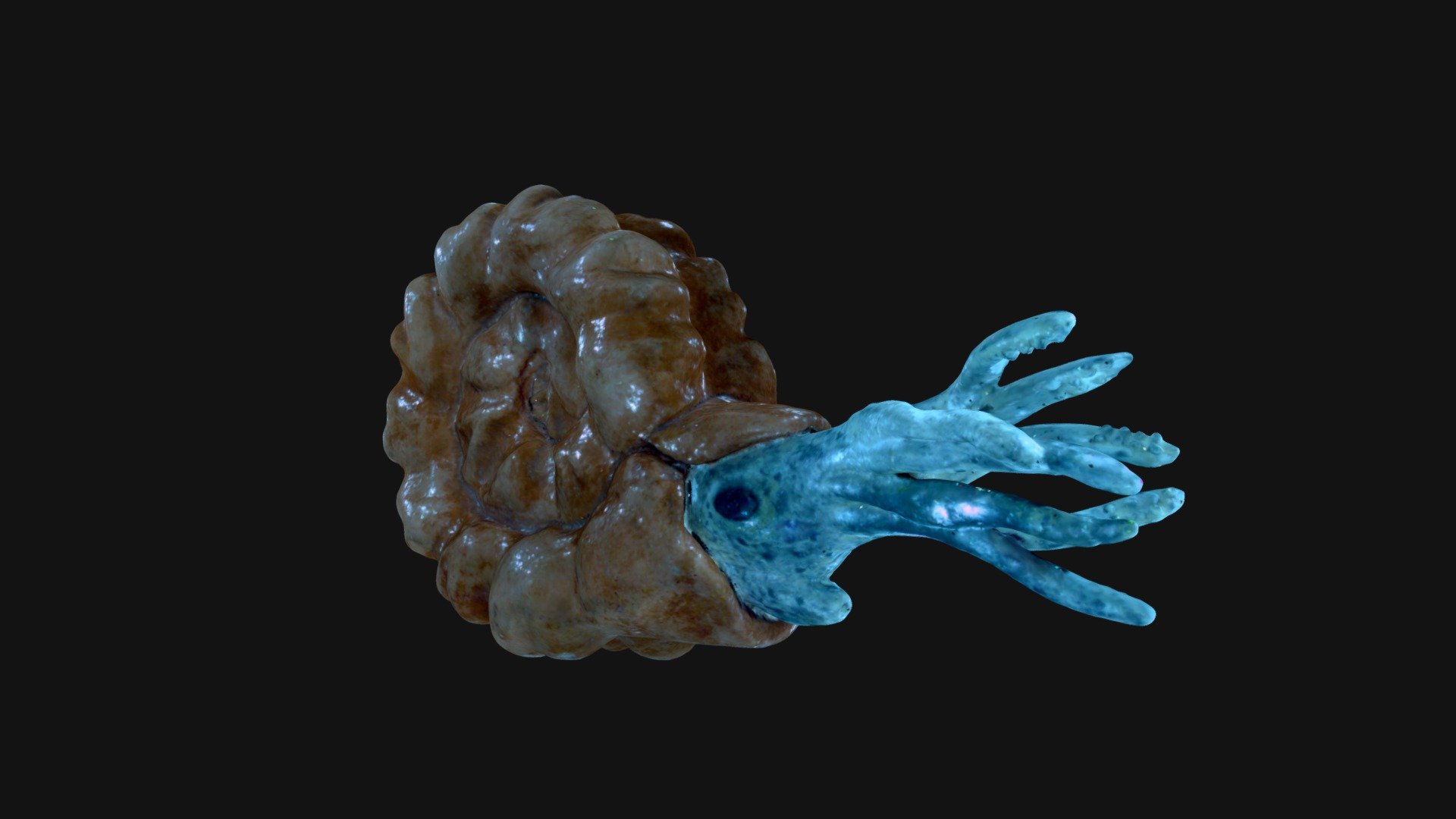 Ammonite sculpture 3D - 3D model by HRDP [c43daf9] - Sketchfab