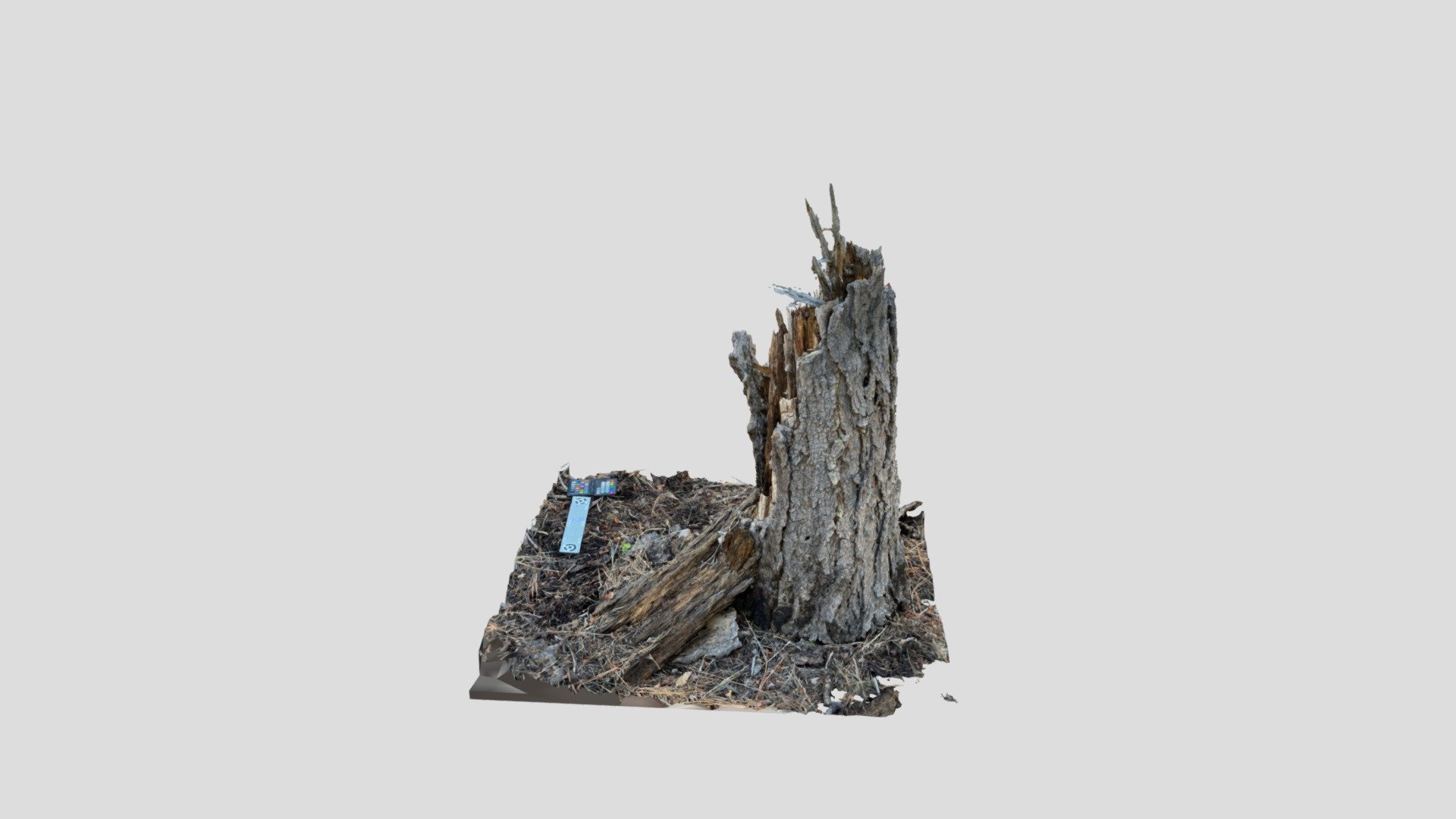 RS - Tall Stump - Download Free 3D model by Tandy (@GabeTandy) [c44ce63 ...