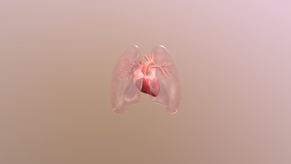 heart_01 animation - 3D model by bagus purnomo (@dwbpicture-viscorp ...