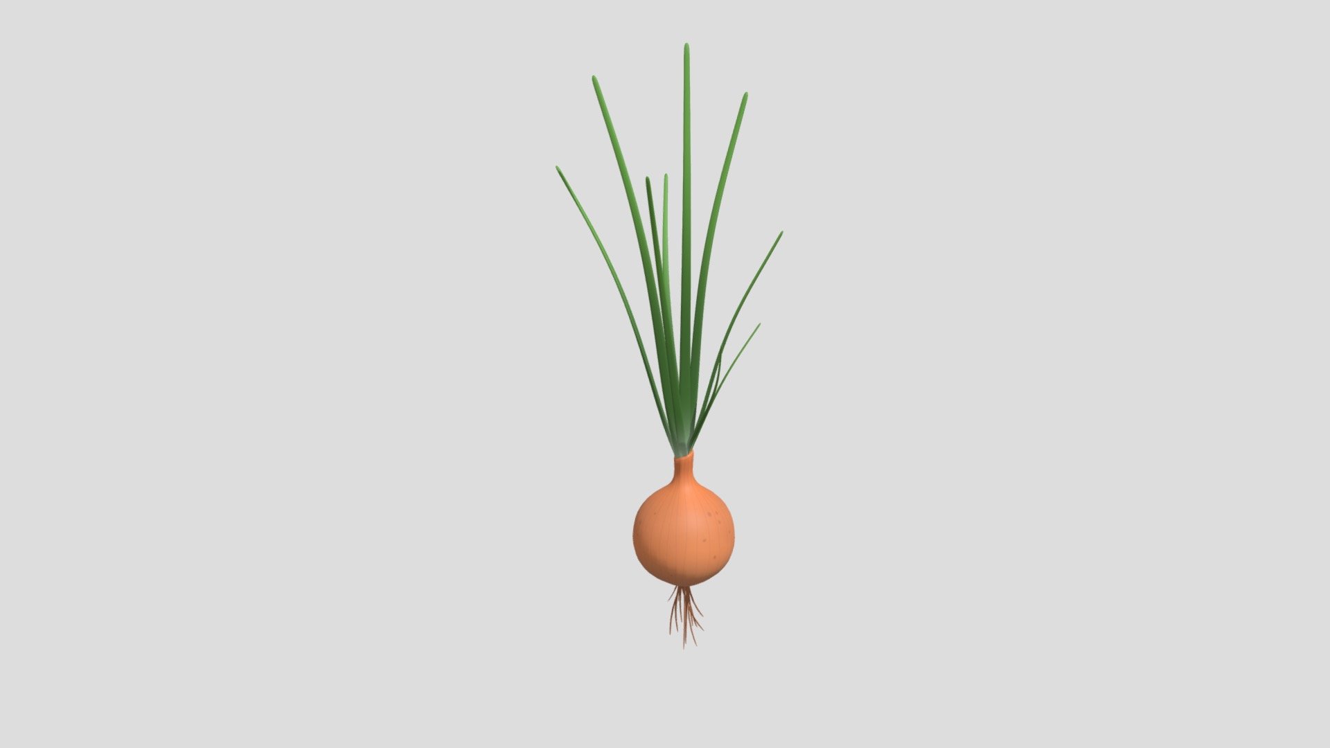 Growing Onion - Buy Royalty Free 3D model by Ed+ (@EDplus) [c45632e ...