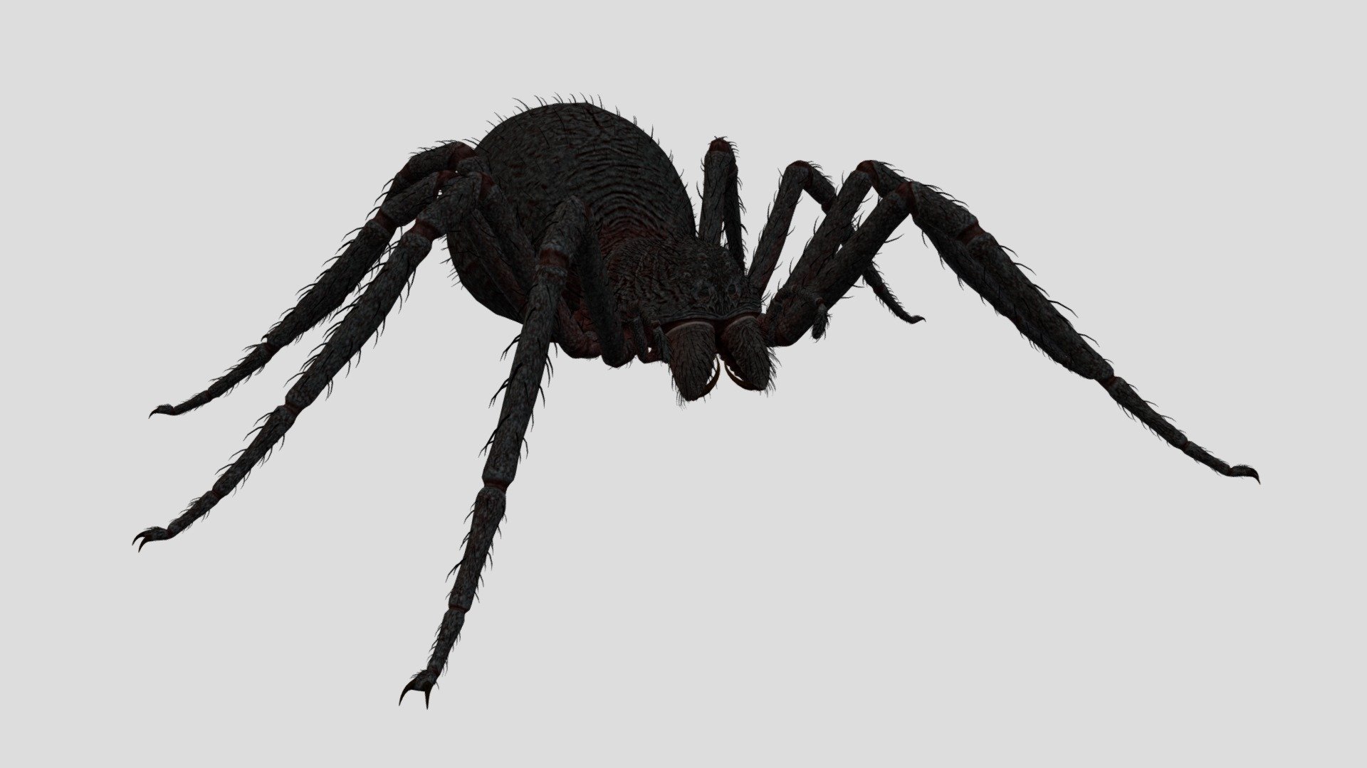 Giant_ Spider - Buy Royalty Free 3D model by trish.j2109 [c45cadb ...