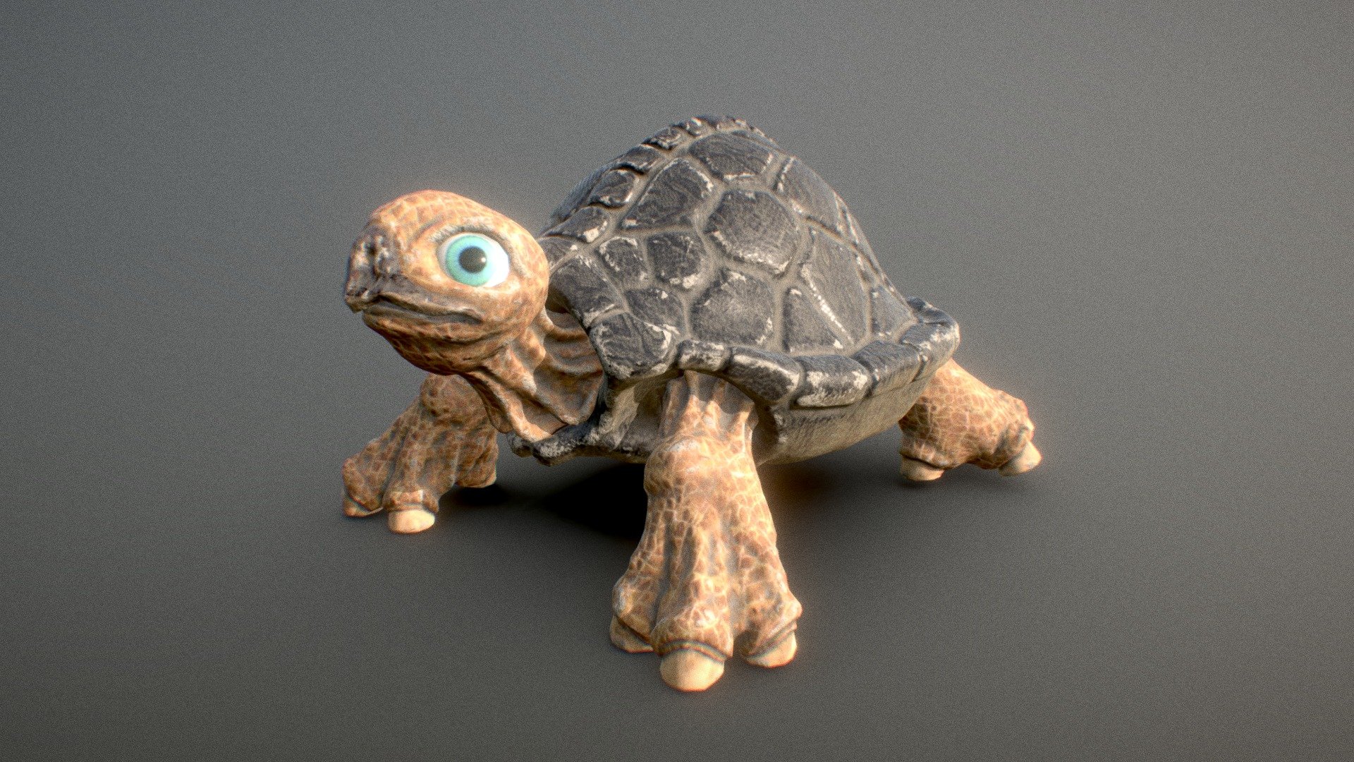 Tortoise - Buy Royalty Free 3D model by Manoel [c467916] - Sketchfab Store