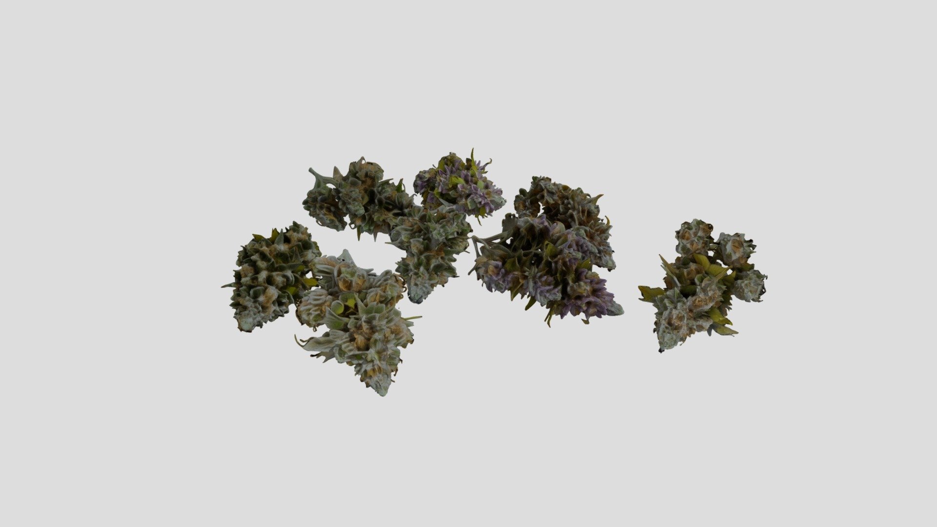 AGW_ Weed_ Pack_001 - Download Free 3D model by RadioactiveAG [c469c15 ...