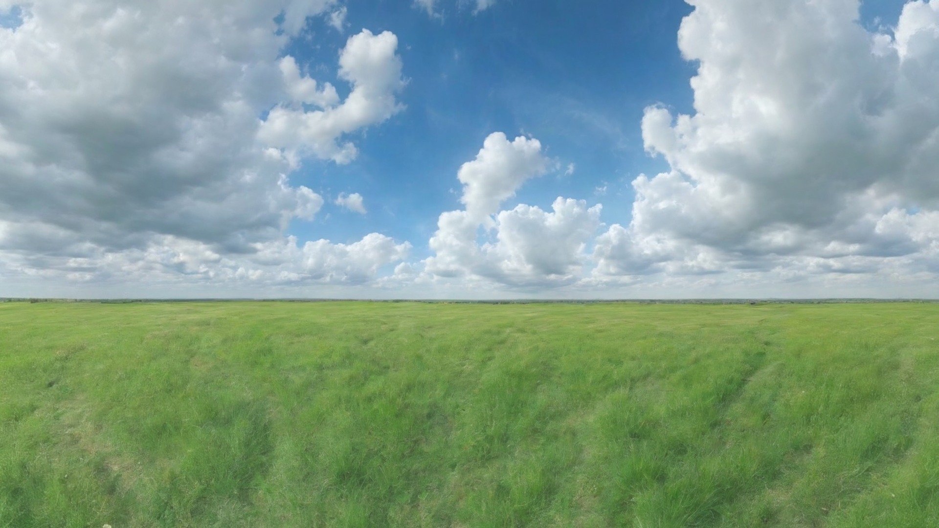 HDRI Grassland Panorama F - Buy Royalty Free 3D model by Ionut81 ...