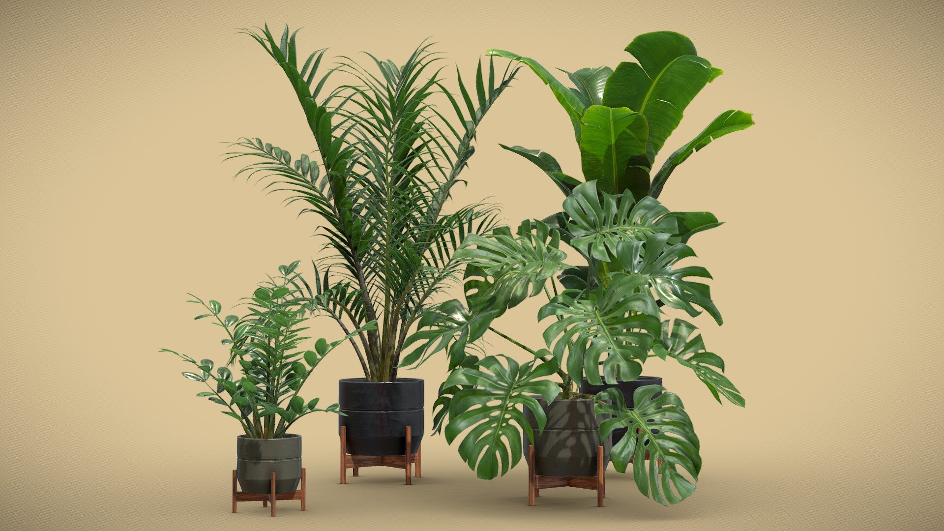 Indoor Plants Pack 48 - Buy Royalty Free 3D model by AllQuad [c47431e ...