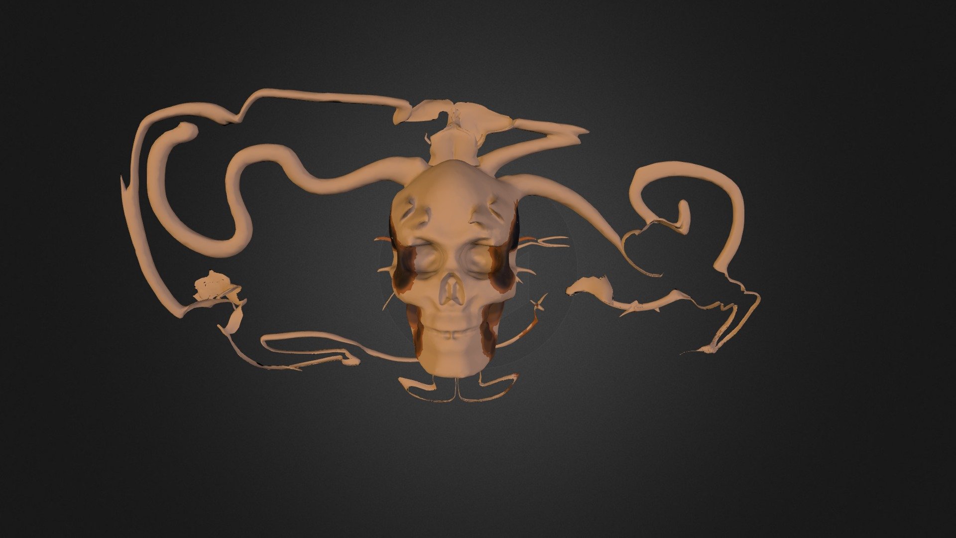 Dani - 3D model by leopoly [c478ed6] - Sketchfab