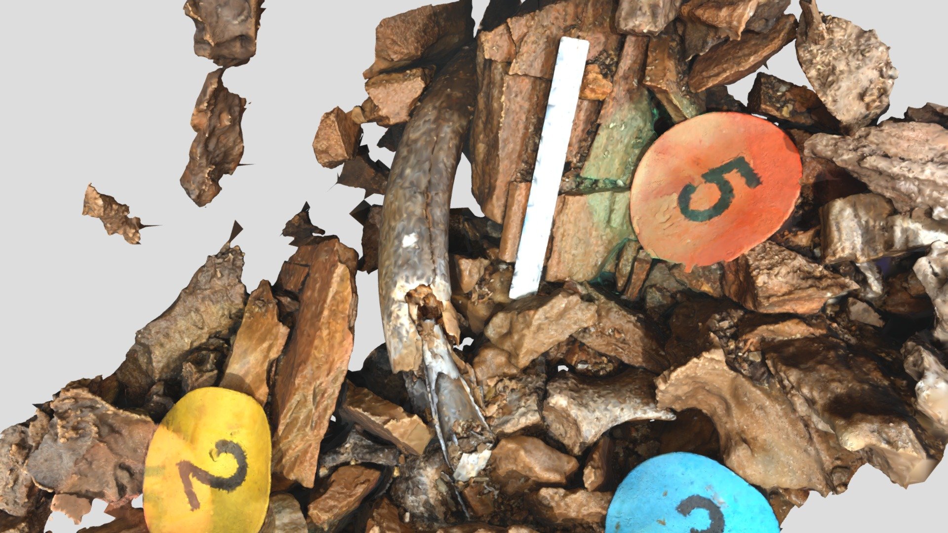 Mammoth Tusk - 3D model by Commendium (@roowalters) [c47fc79] - Sketchfab