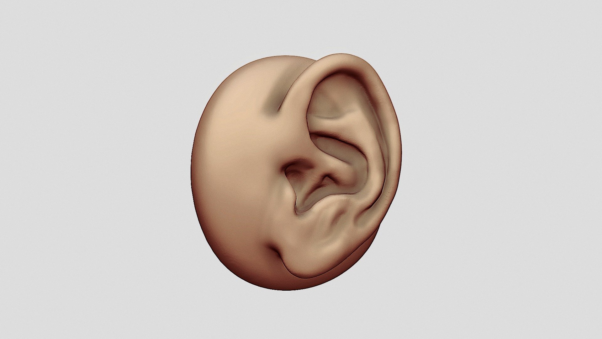 Ear Sculpt - Download Free 3D model by POLYCOSM [c482829] - Sketchfab