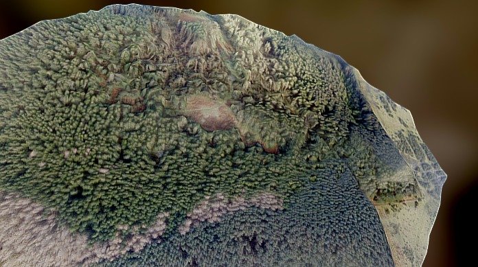 Wooler Common - 3D model by Forest Inventory (@forestinventory ...