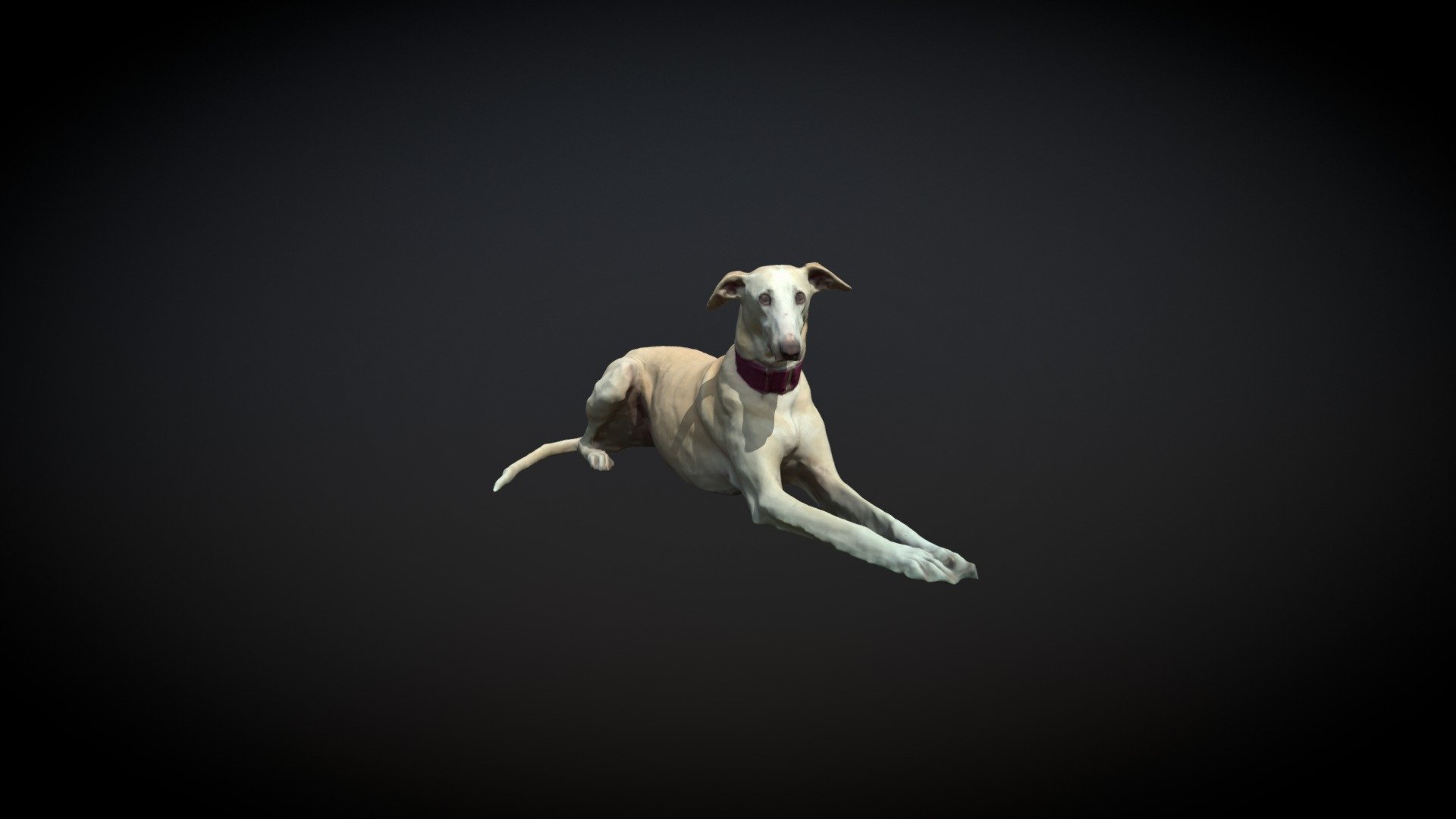 Tabi - 3D model by Garma_Z [c4833bc] - Sketchfab