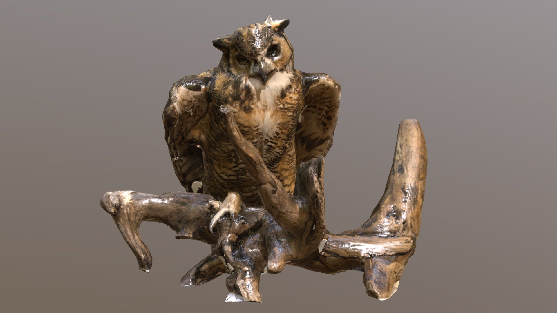 Buho - 3D model by SAL (@SalSeavoir) [c486dca] - Sketchfab