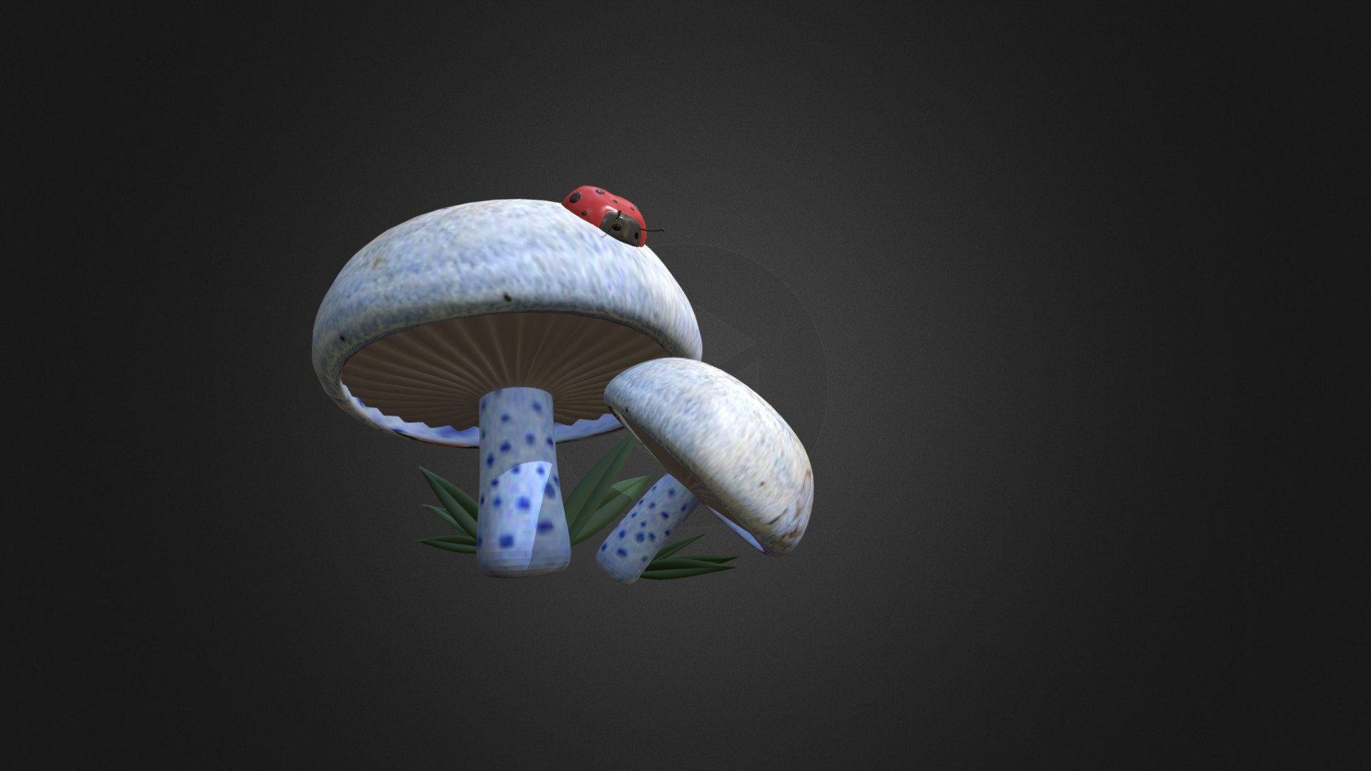 mushroom - 3D model by melusina [c493b69] - Sketchfab