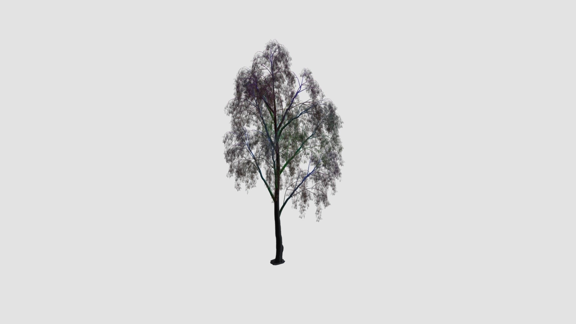 Tree - Buy Royalty Free 3D model by Evermotion [c49a14a] - Sketchfab Store