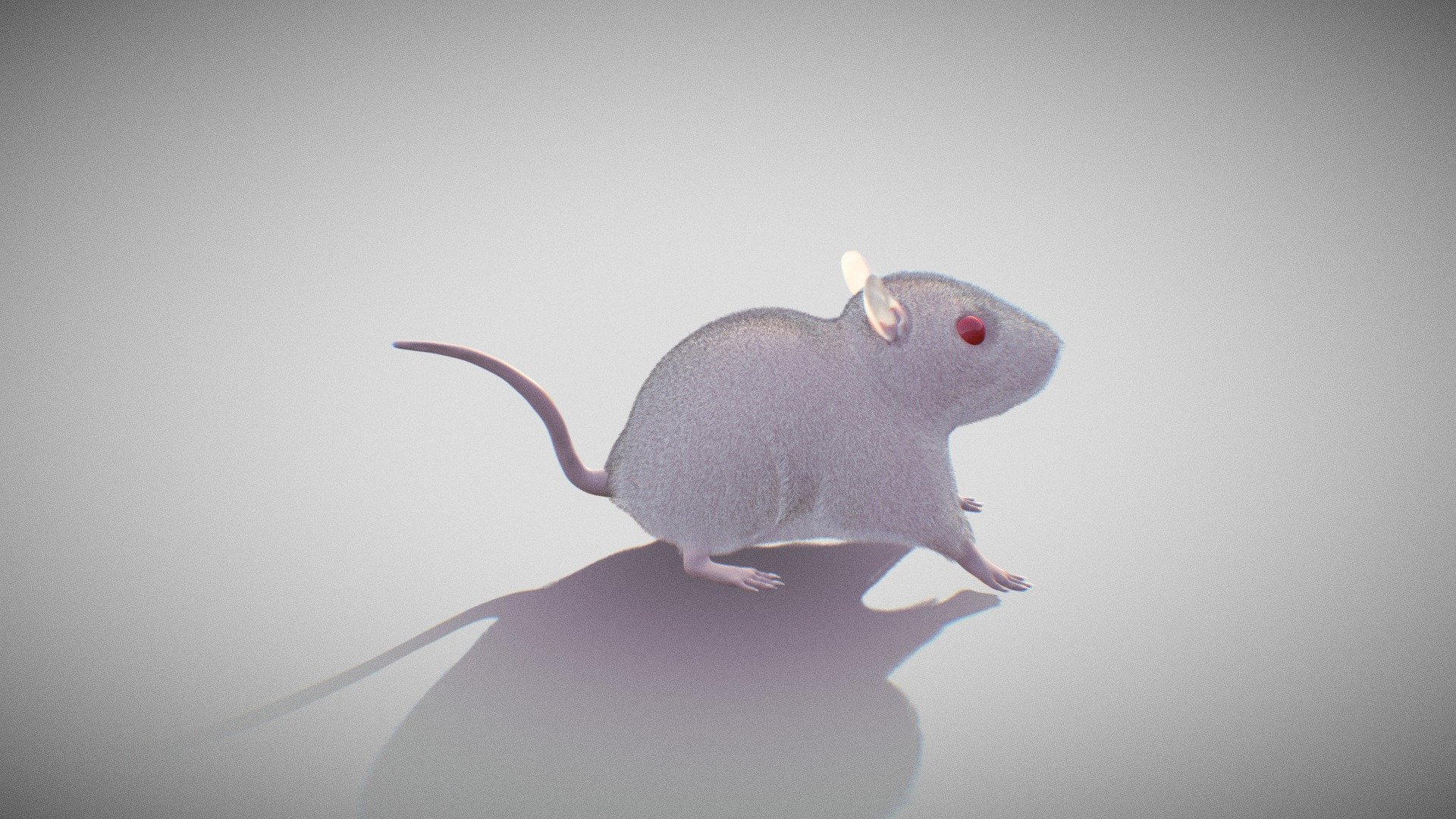 Just a Mouse - 3D model by gaellelucas [c49a86c] - Sketchfab