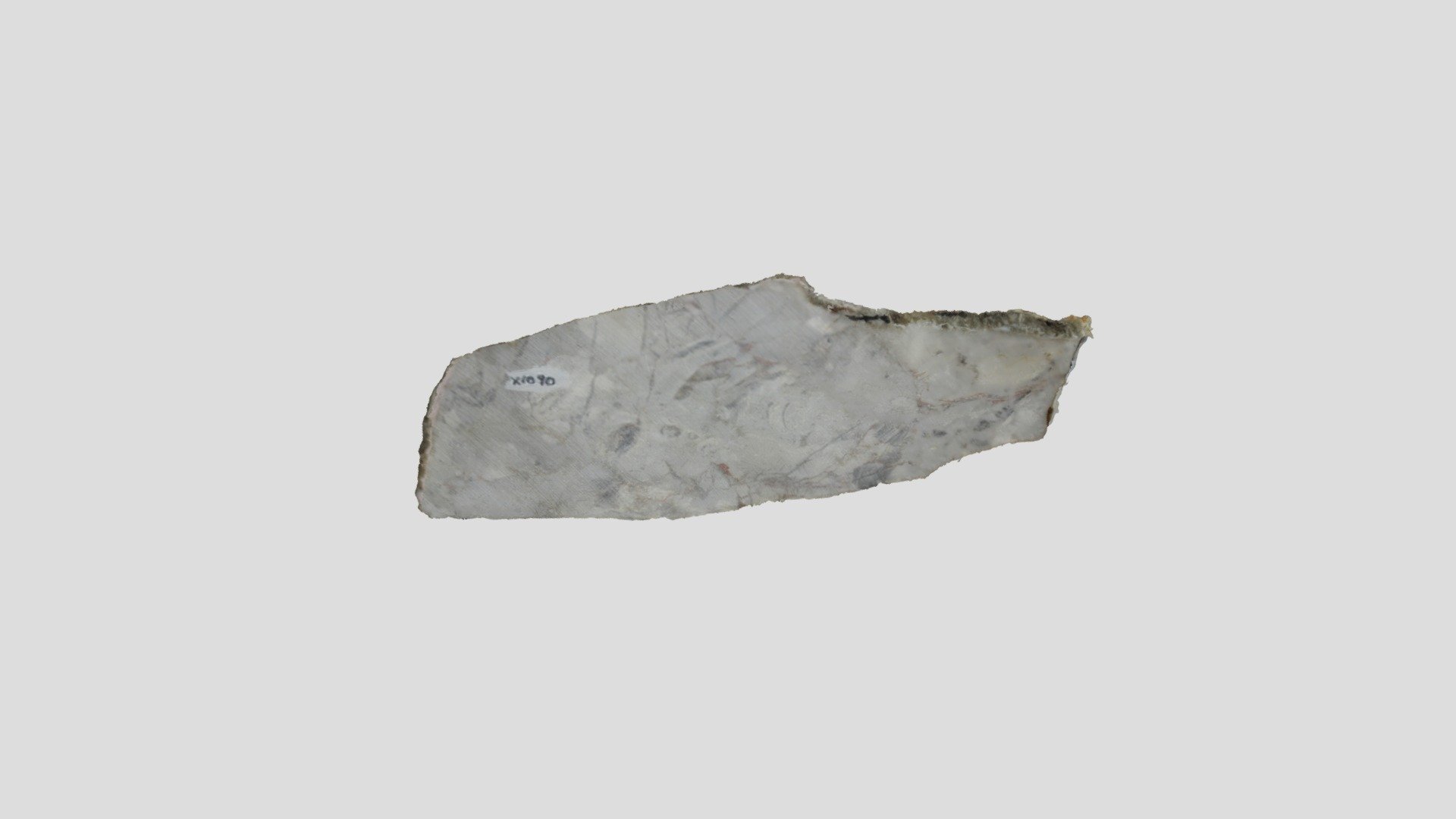 x1090 Limestone - 3D model by Department of Earth Sciences, UCL (@es ...