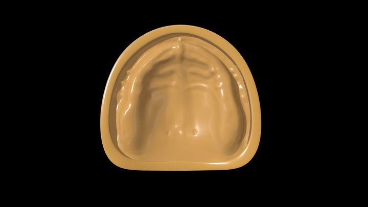 Maxilla 3D models - Sketchfab