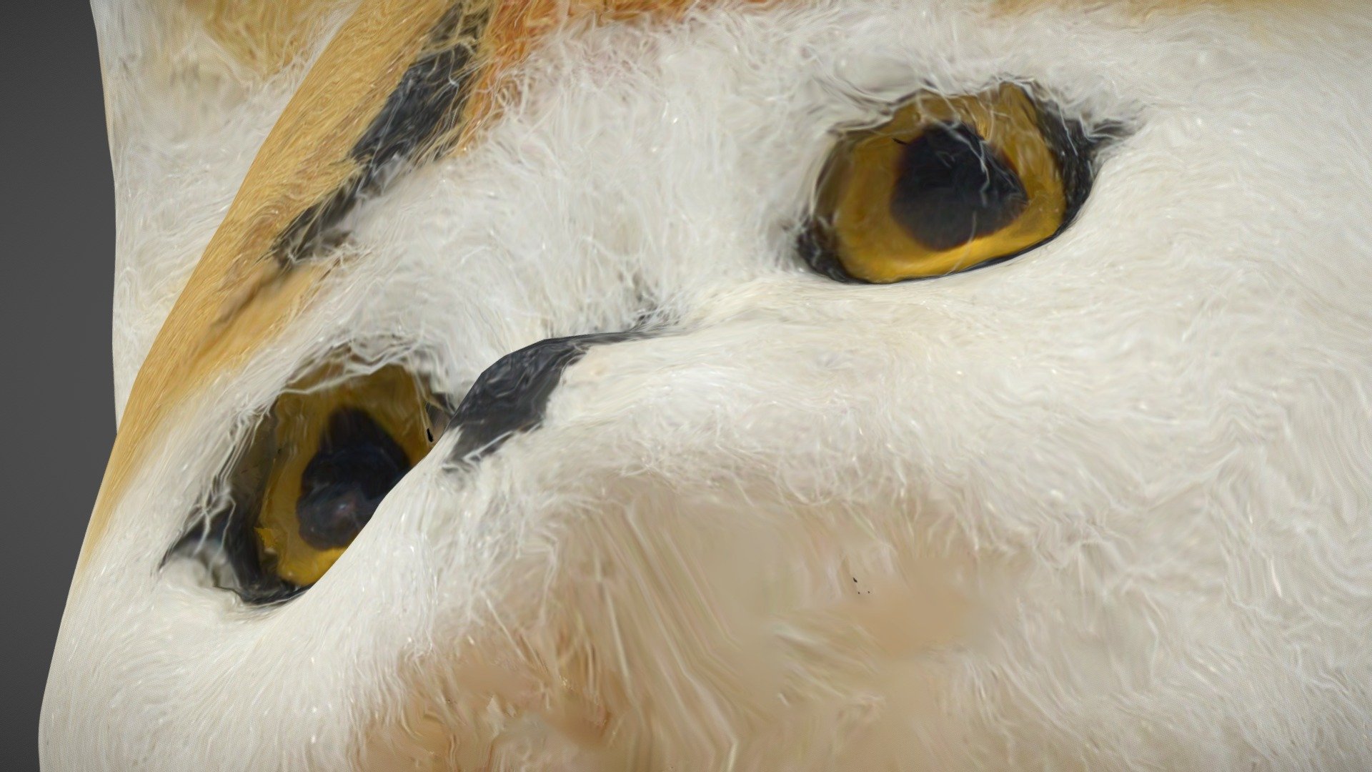 Gato3D - Download Free 3D model by WhoNoes [c4a37a5] - Sketchfab