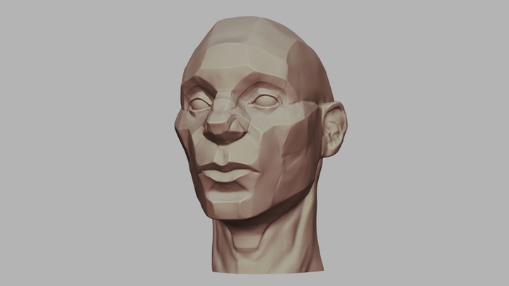 Planesoftheface 3D models - Sketchfab