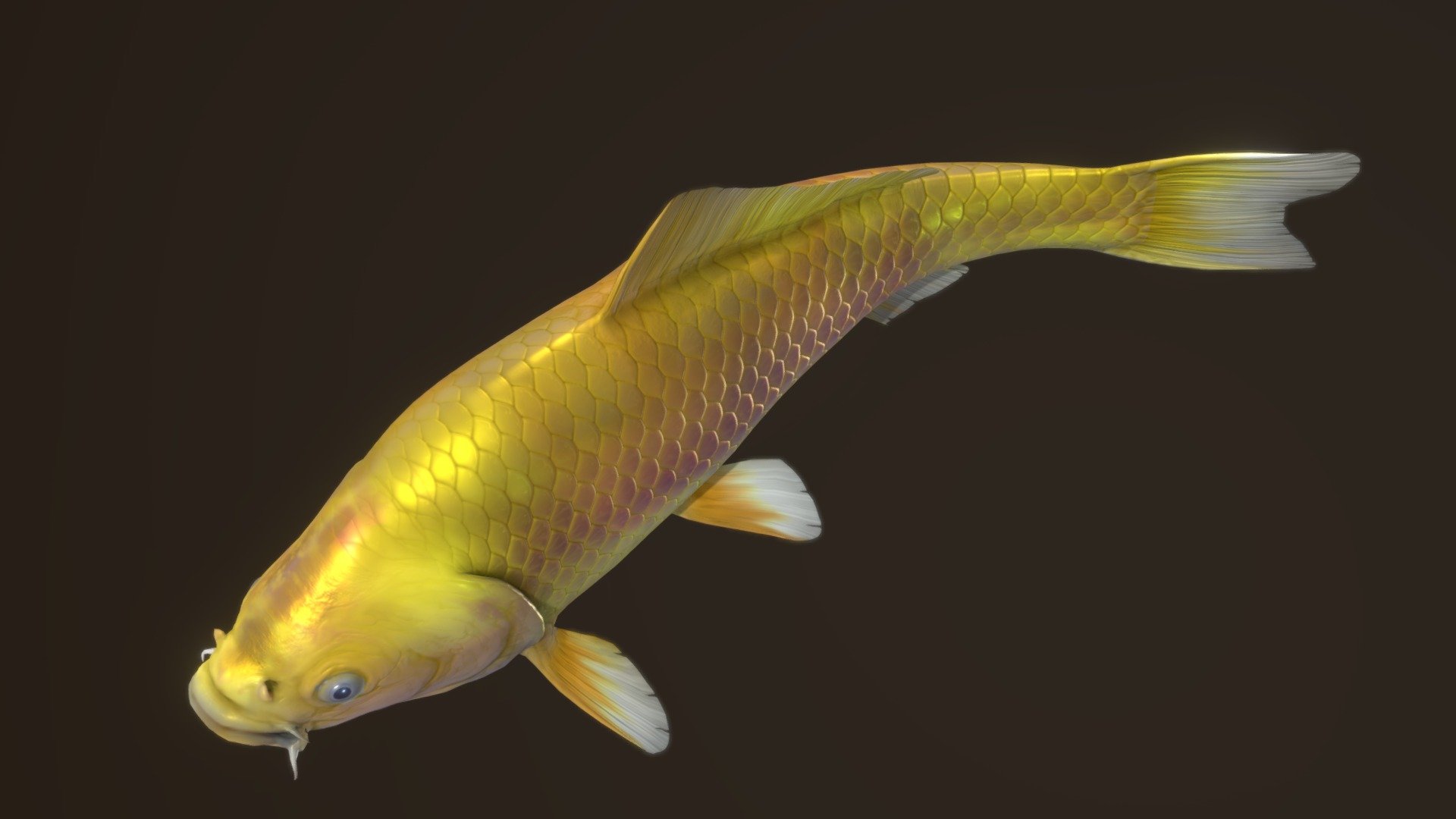 Koi — Kigoi - 3D model by Nestaeric [c4a906e] - Sketchfab