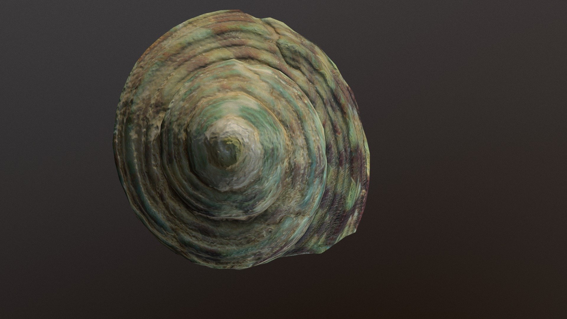 Tiny Green Shell - Low Poly - 3D model by iamchris1134 [c4aacd5 ...