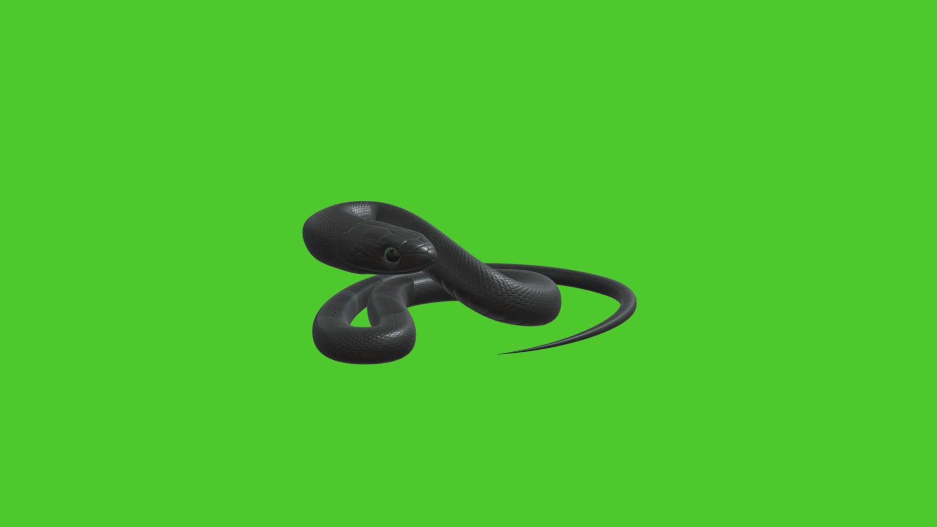 snake_model - Download Free 3D model by tech.service.allwe [c4abfcb ...
