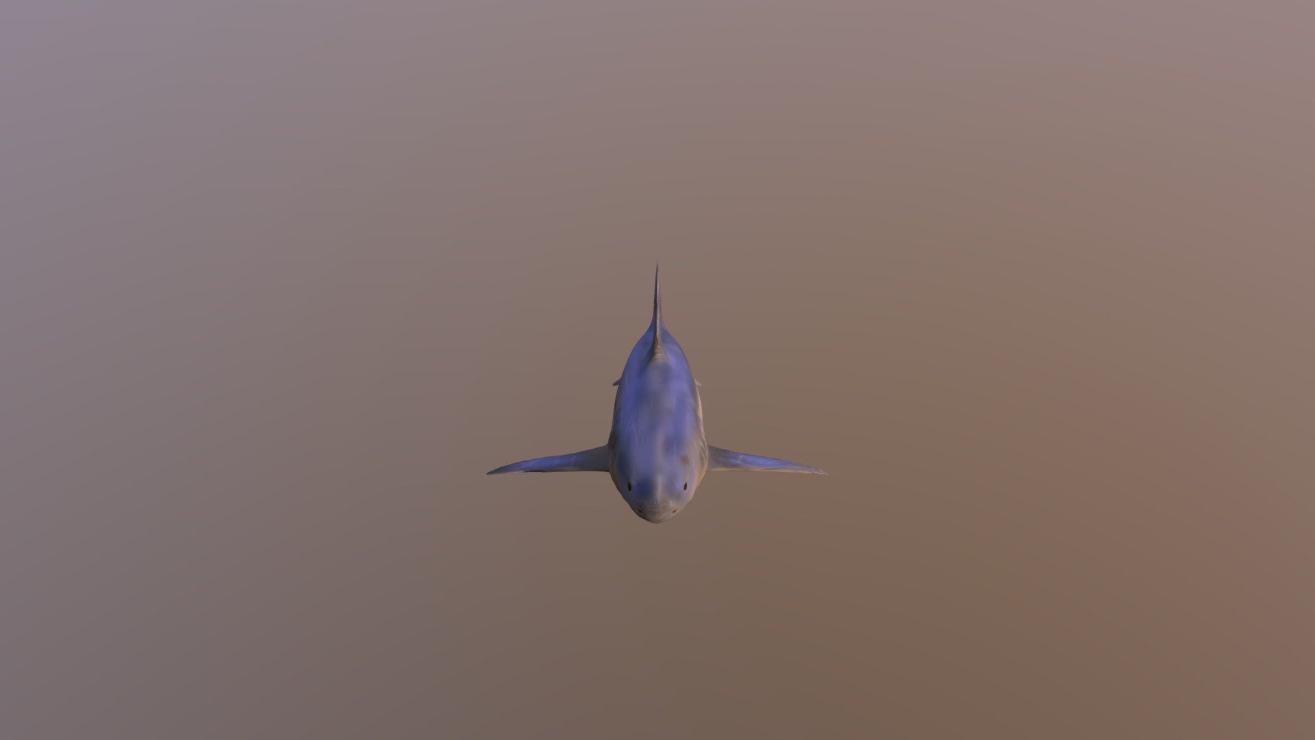a shark created in Maya/ZBrush - 3D model by Chancellor Piazza ...