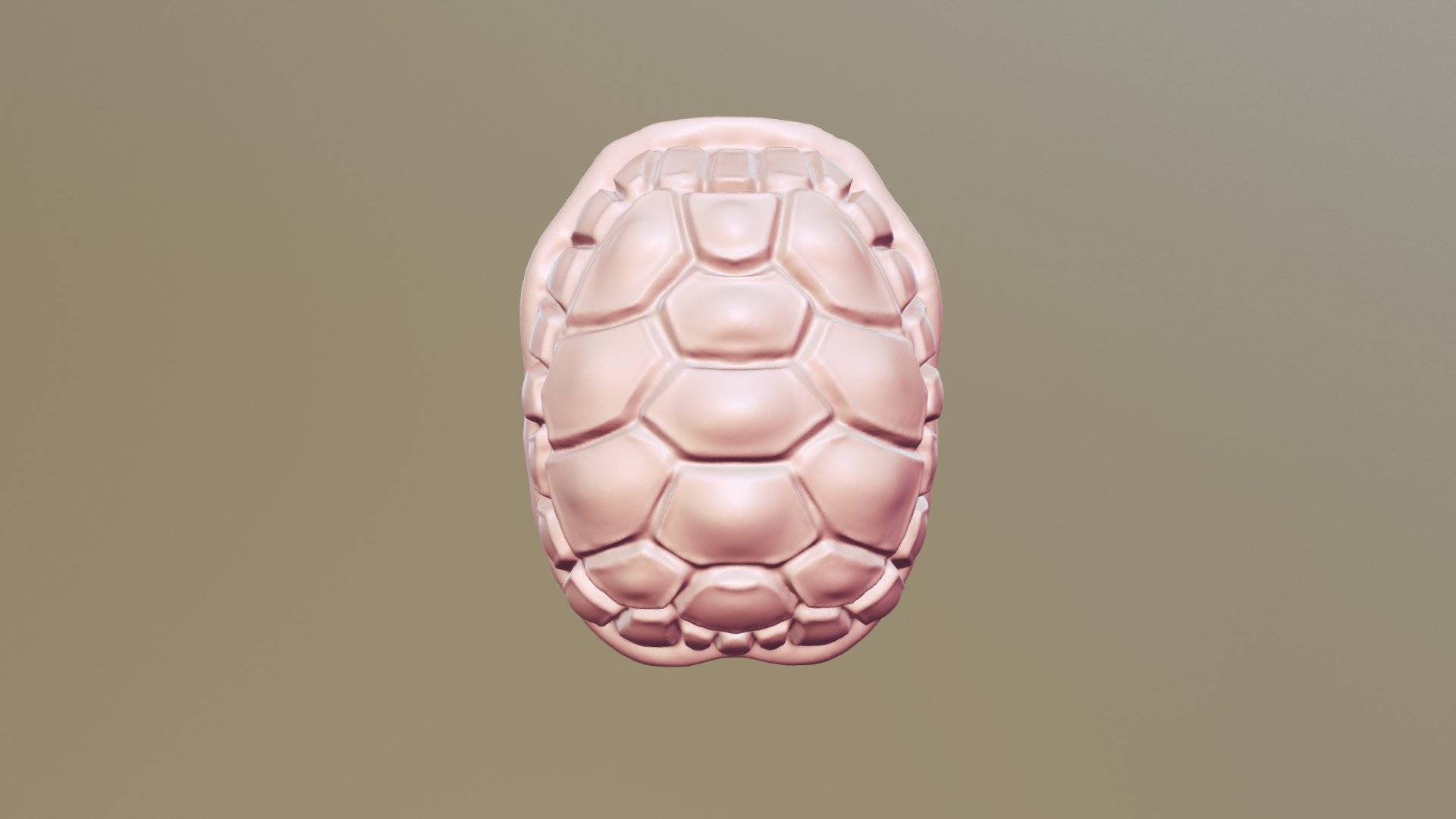 #SculptJanuary18 - Day 25: Shell - Download Free 3D model by ...