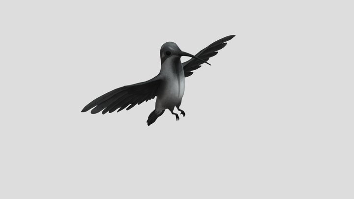 Hewan 3D models - Sketchfab
