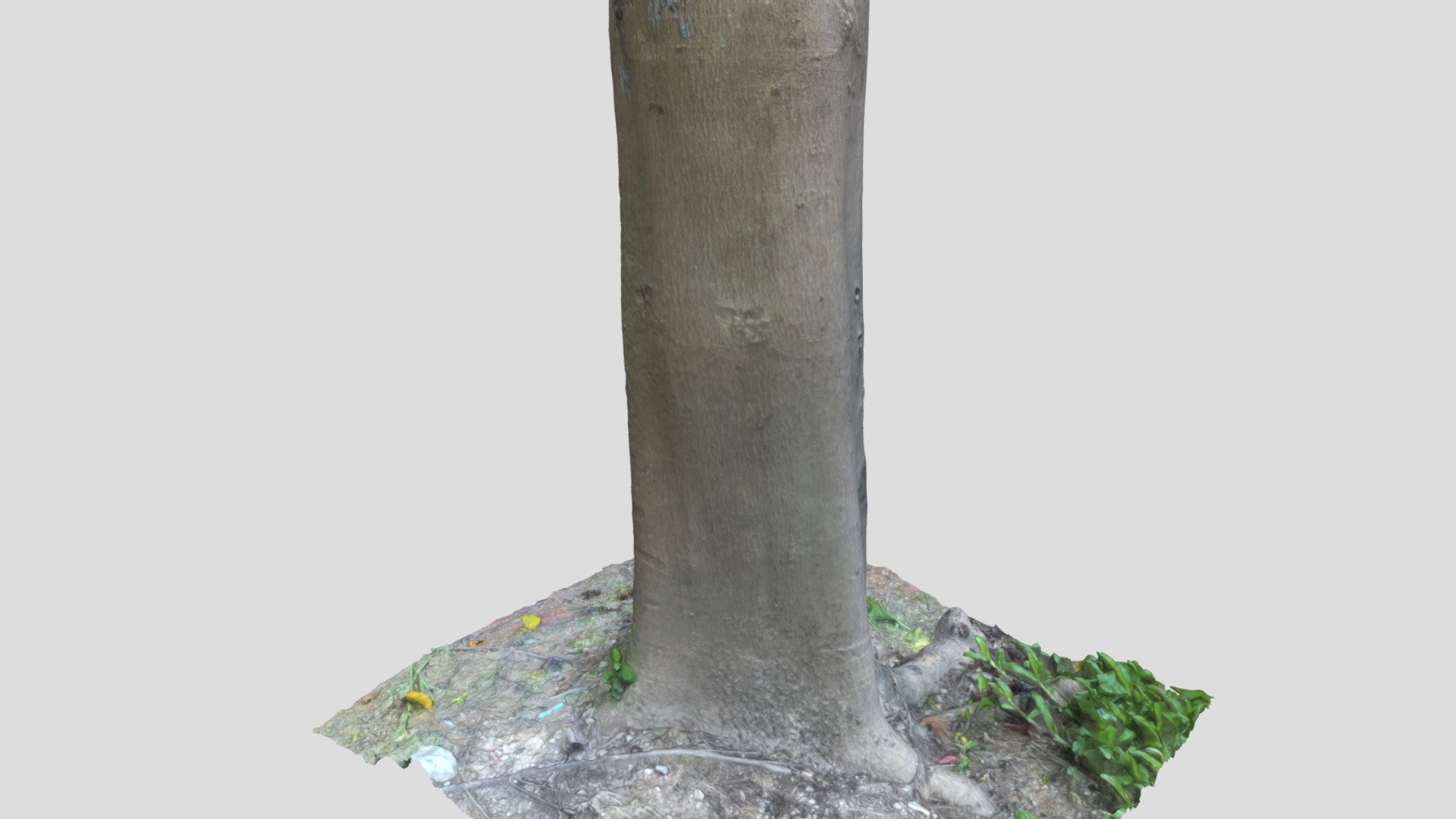 Tree Root Scan01 - Download Free 3D model by joeshu [c4bbb65] - Sketchfab
