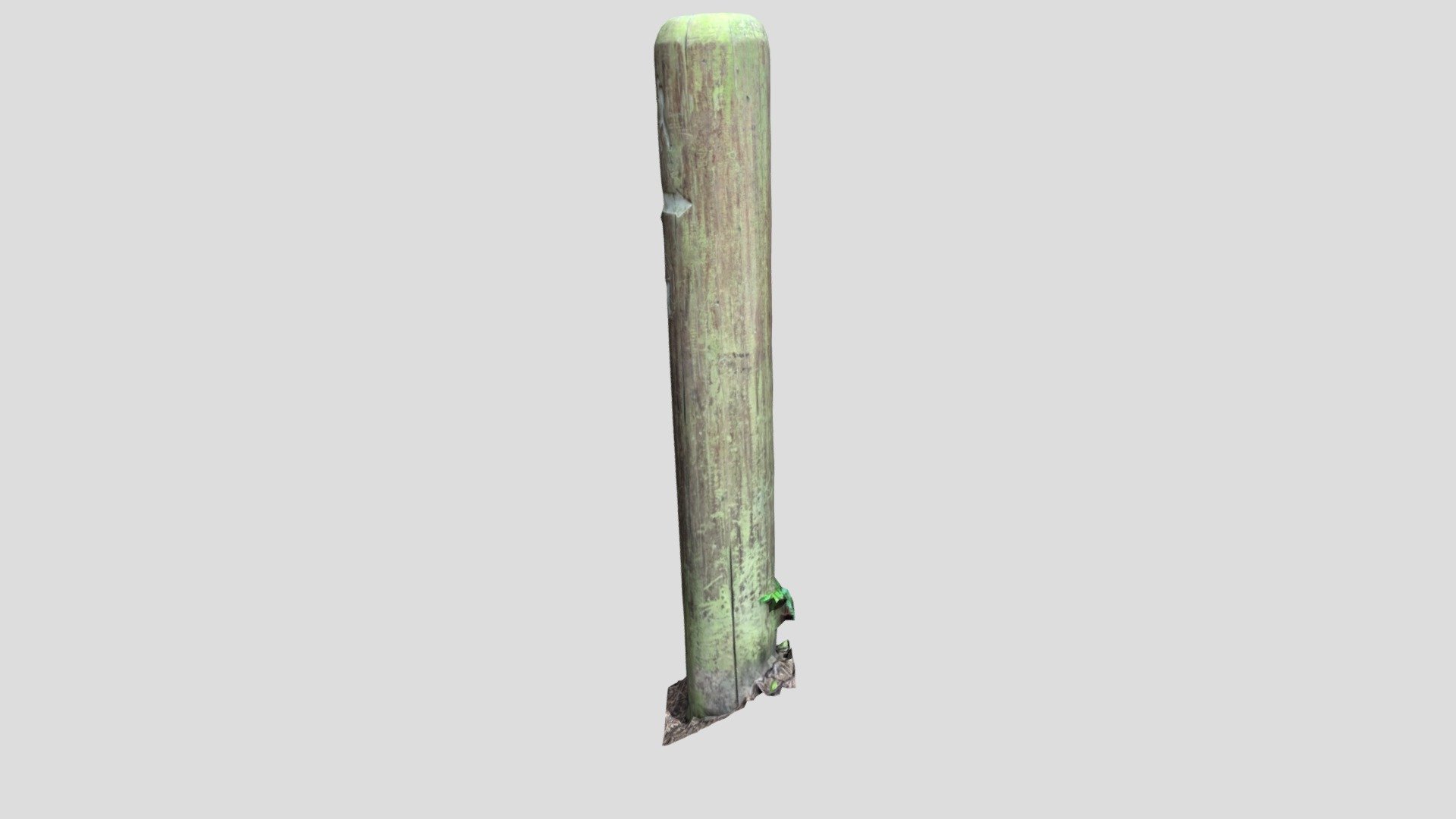 Hiking pole Hong kong - Download Free 3D model by Kaesehase (@universal ...
