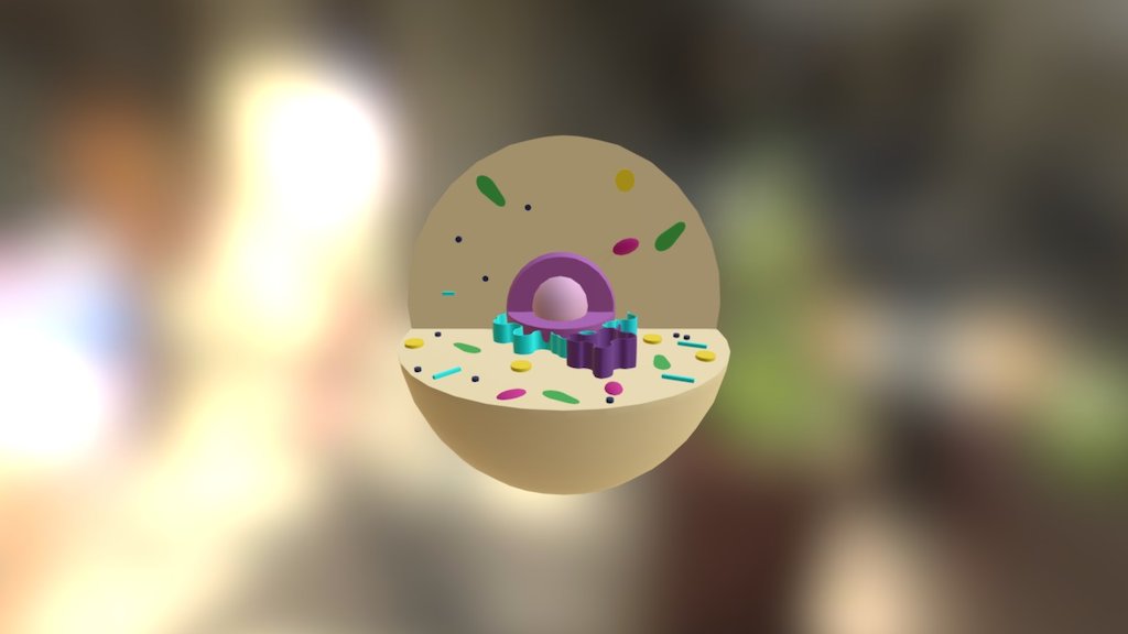 Cell Model - 3D model by 18helene.b [c4c0bfd] - Sketchfab