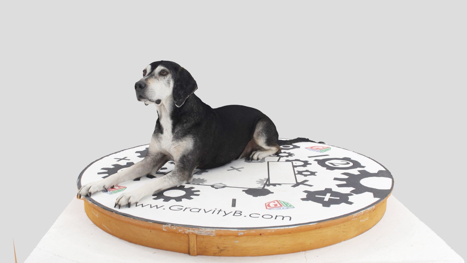 230429 Edgar 16 Lying - 3D model by GravityB [c4c49d6] - Sketchfab