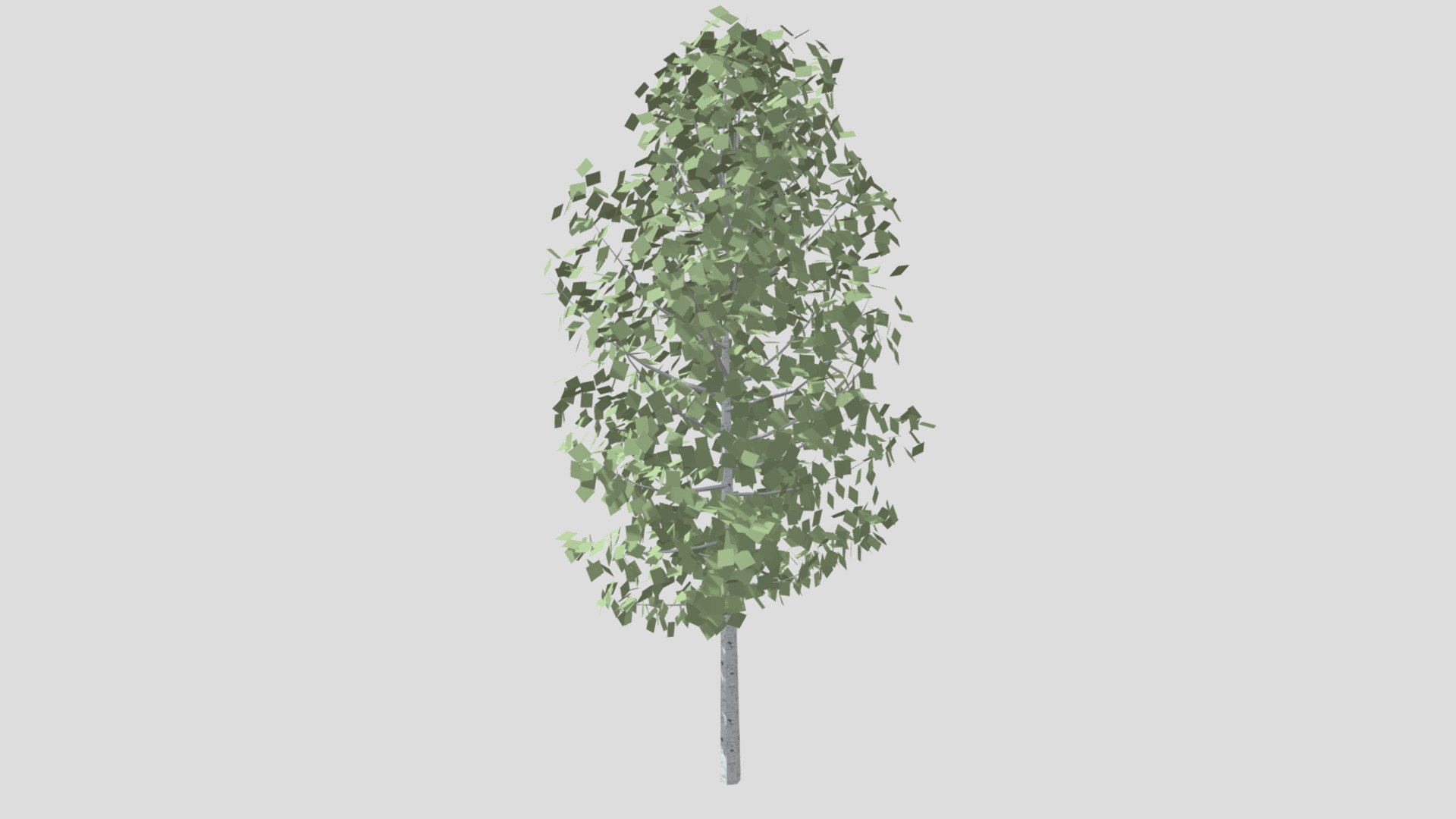 Tree birch green - 3D model by apple102 [c4ca94b] - Sketchfab