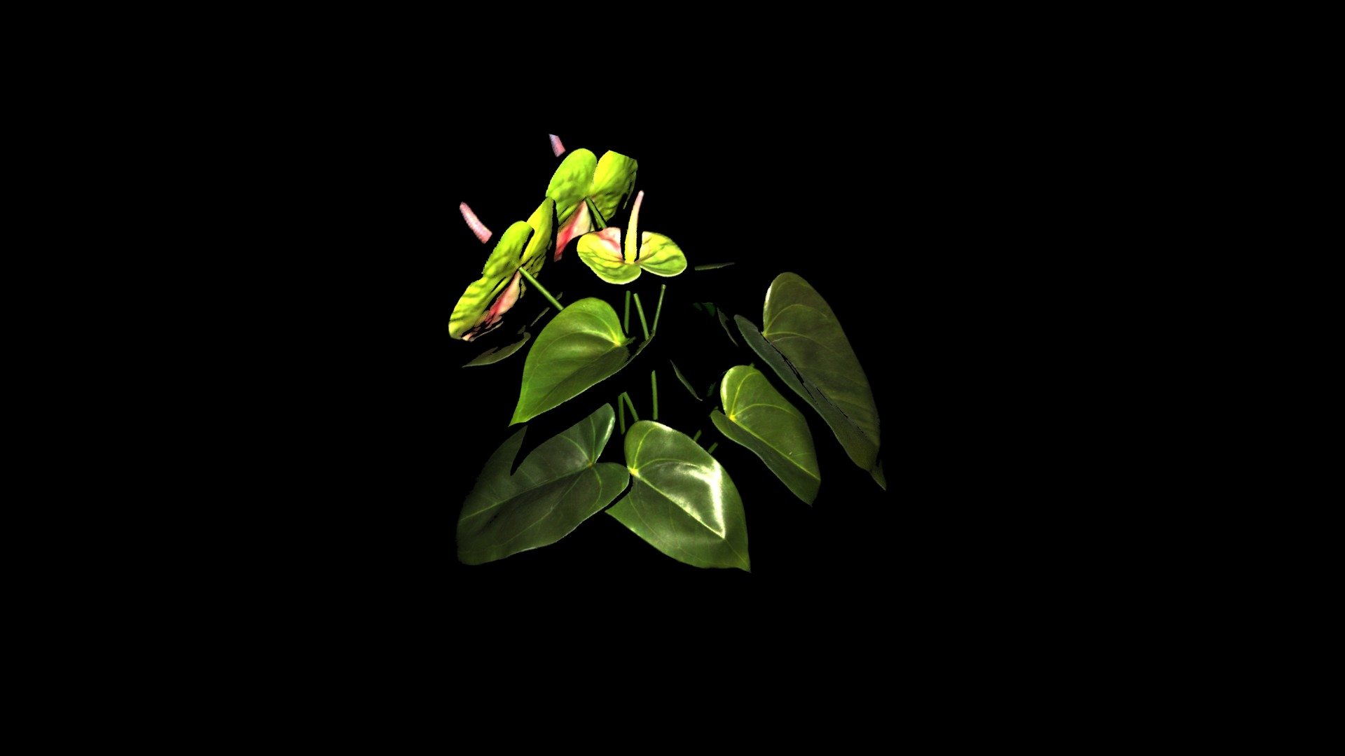 Large plant - Download Free 3D model by Zivid [c4cf6db] - Sketchfab
