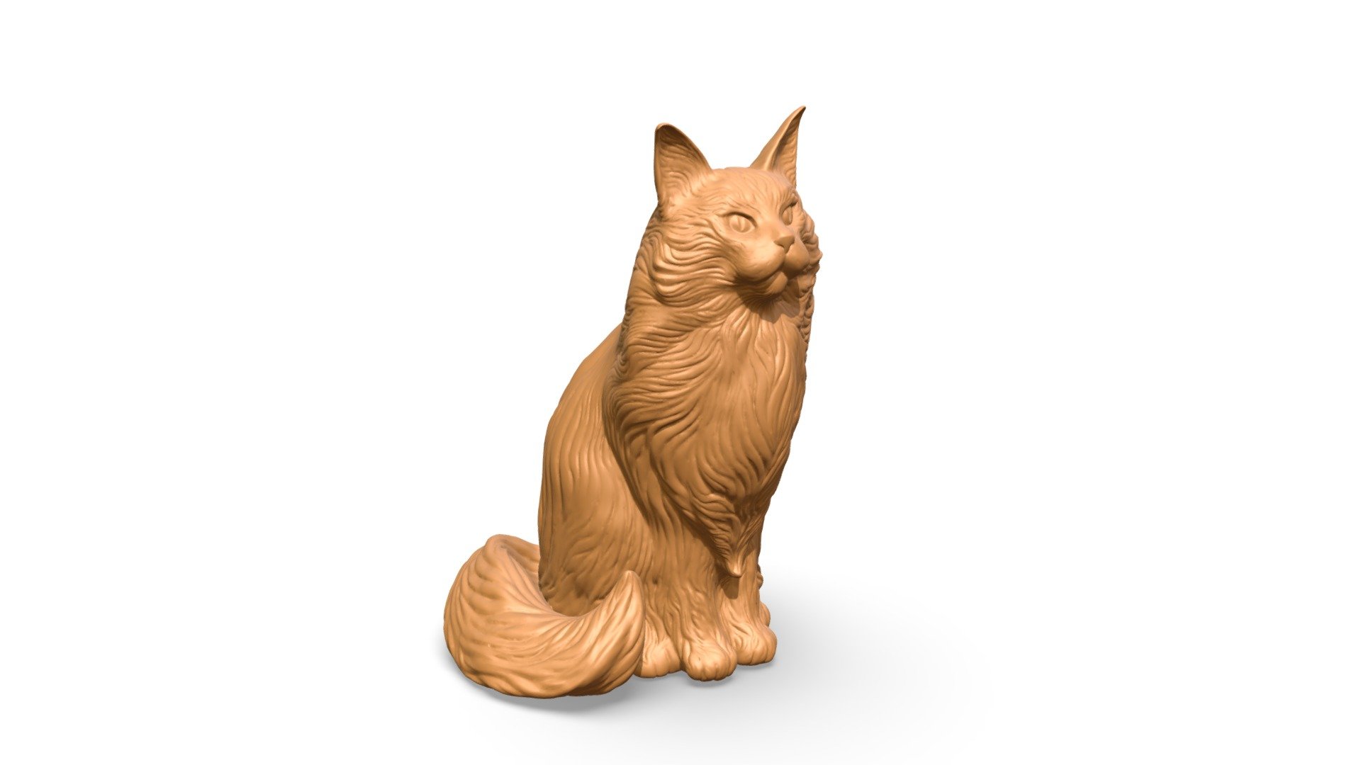 Cat Maineсoon 2 - 3D model by MaRaT [c4d0003] - Sketchfab