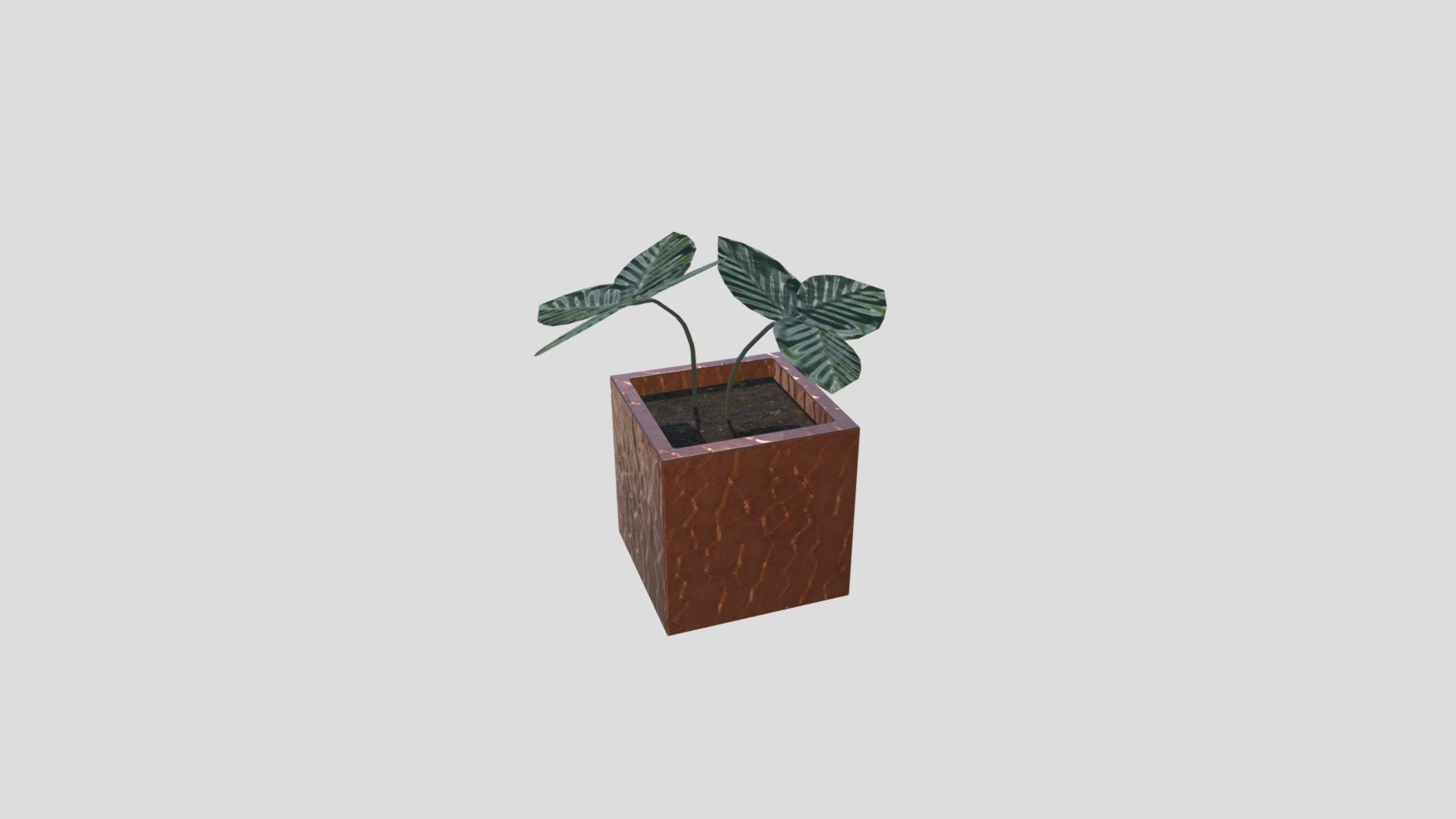 Clover Plant - Download Free 3D model by emwesterfeld [c4d0b5e] - Sketchfab