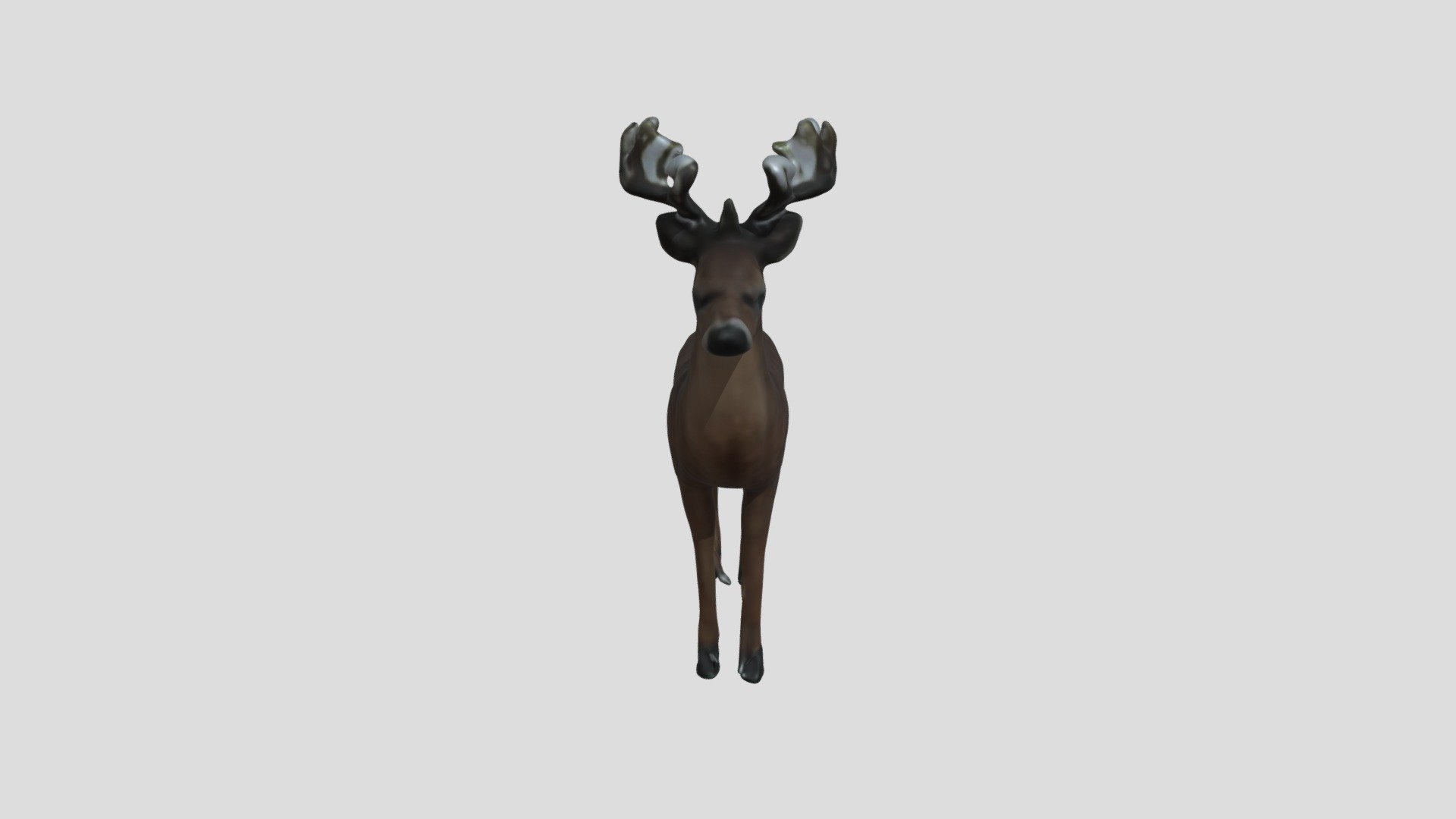 3c45d68c4072_041405b713b9_DEER__3d_asset_0_gl - Download Free 3D model ...