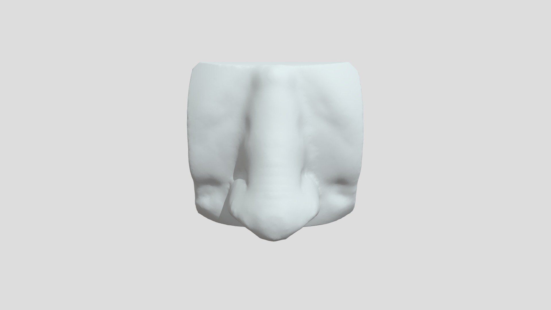Nose3D - Download Free 3D model by dwo3o123 [c4d6ec6] - Sketchfab