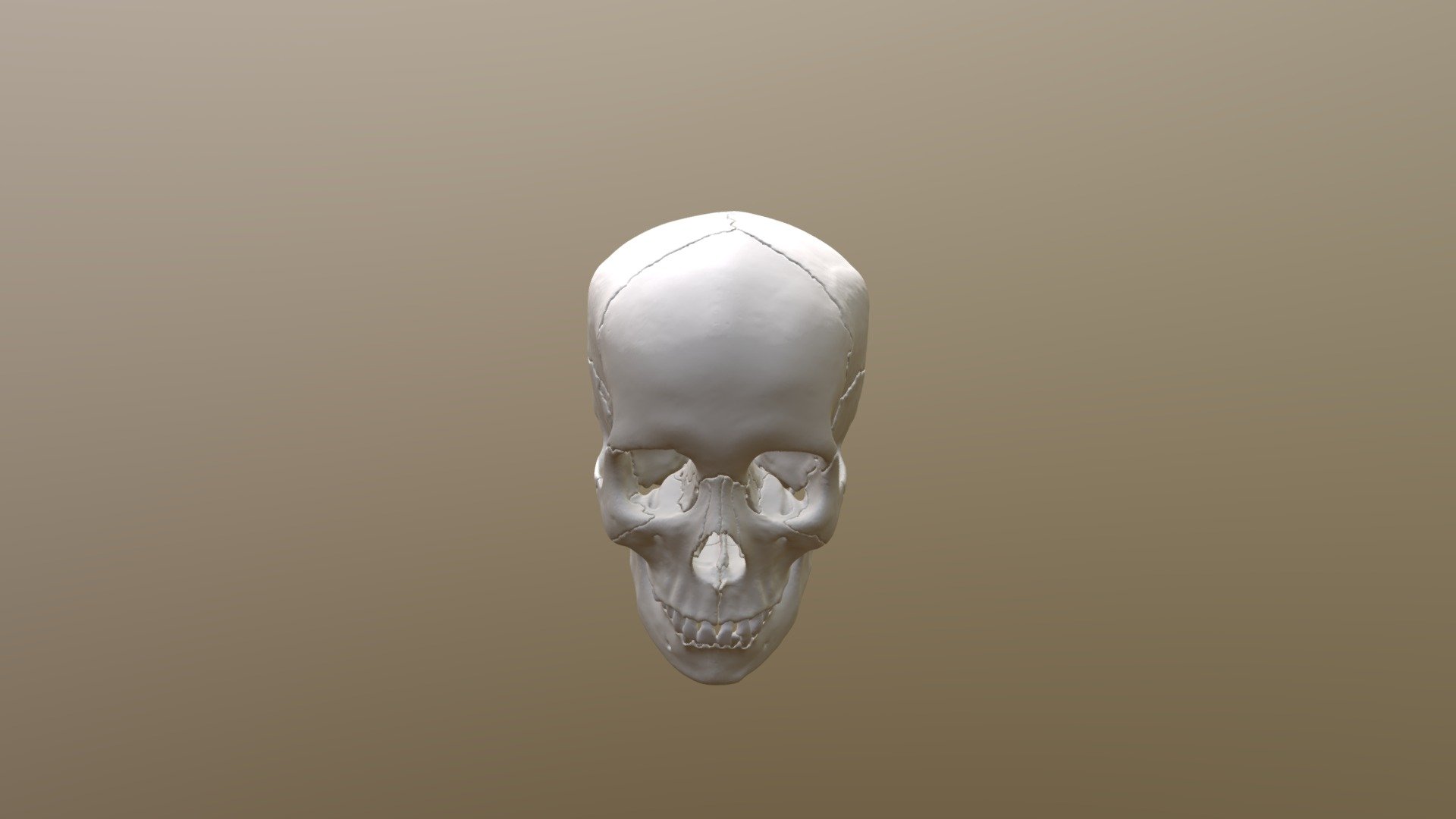 RotateSkull - 3D model by ddiazar [c4d93c3] - Sketchfab
