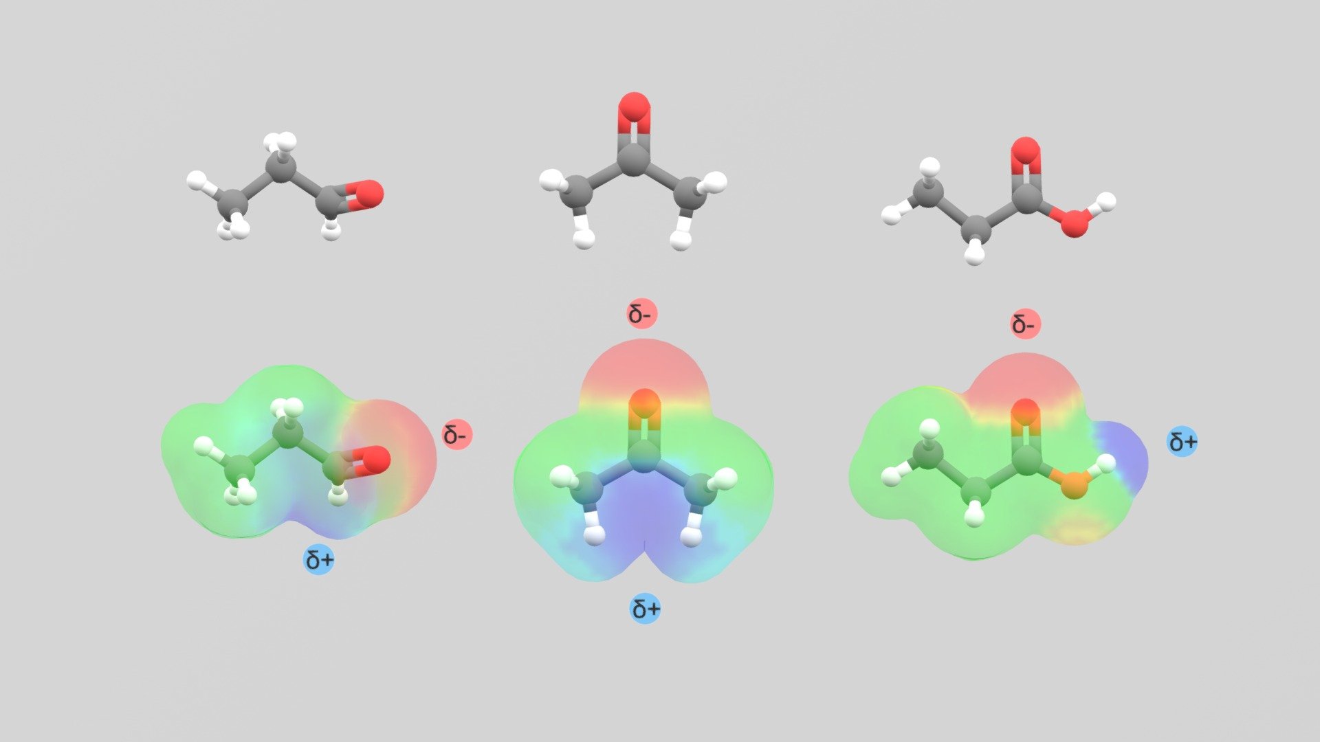 Carbonyl group - Download Free 3D model by Vera4Art (@Elvera.Viljoen ...