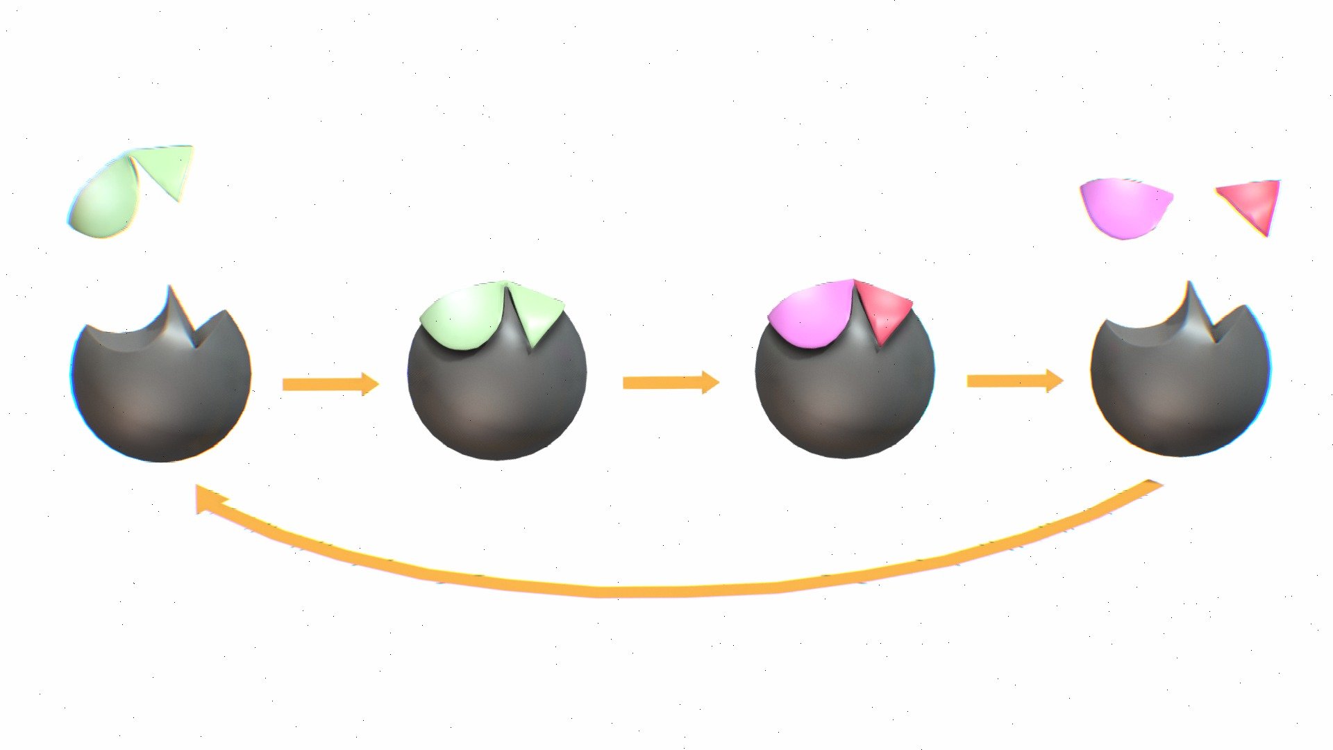 Process of Enzyme Catalysis - 3D model by arloopa [c4e3a9e] - Sketchfab