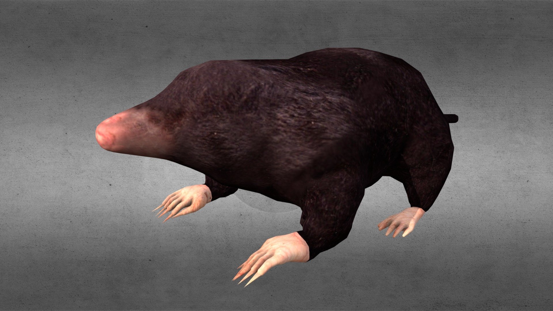 Animal-Mole - Buy Royalty Free 3D model by FLYRICE (@superrice1983 ...