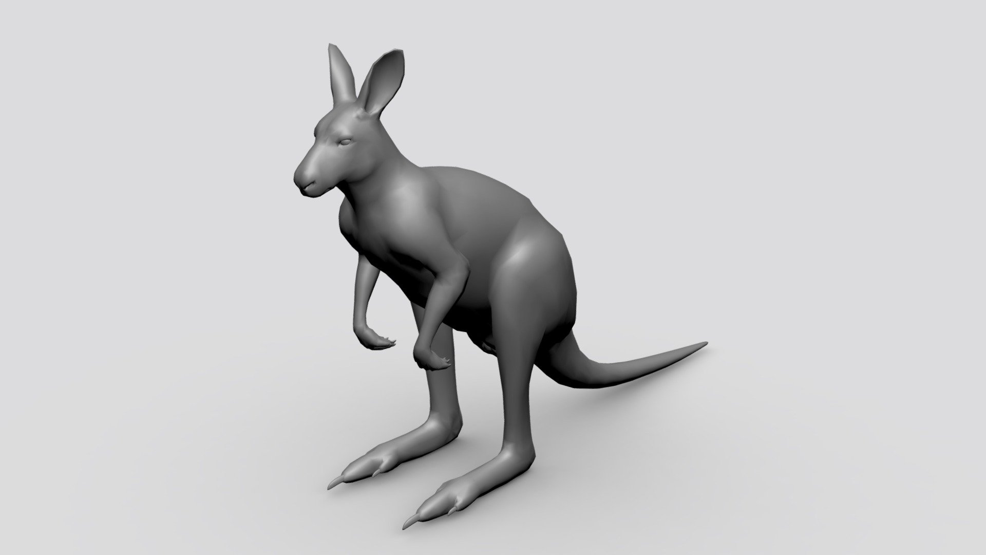 Male Kangaroo Basemesh - Buy Royalty Free 3D model by Tashi (@tsering ...