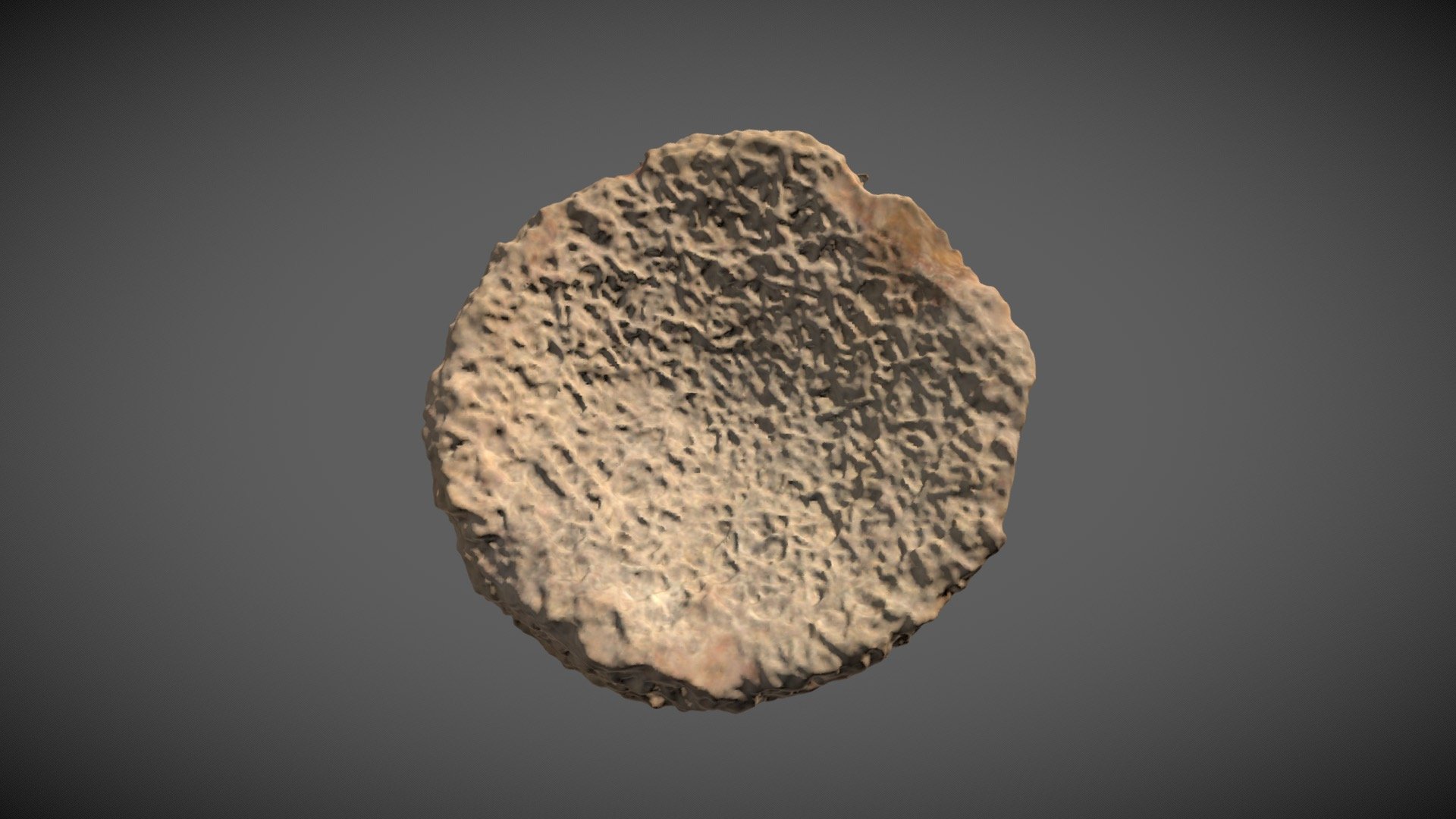 The super weird fossil sponge Astraeospongium - Download Free 3D model ...