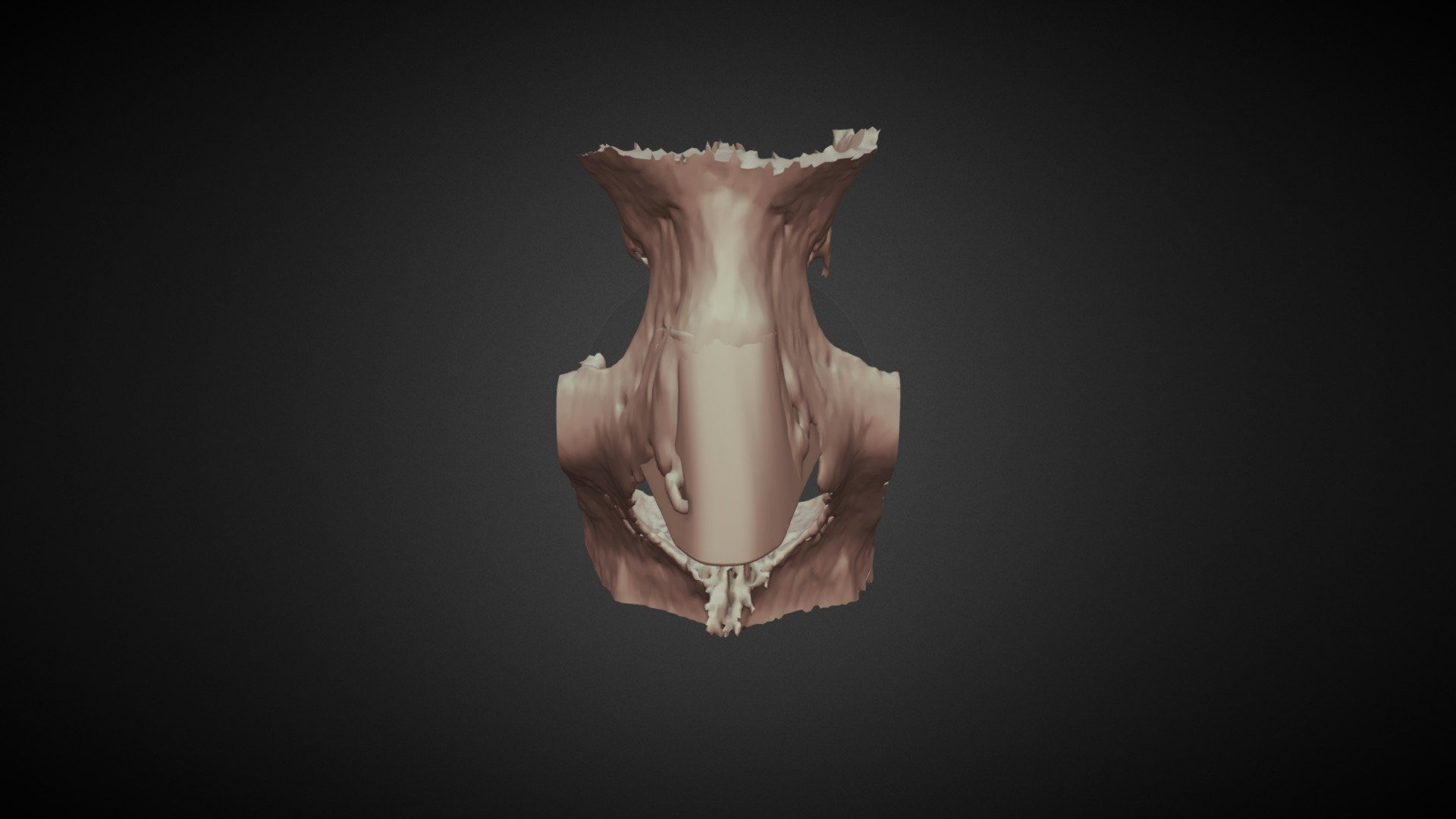 Bone sample - Download Free 3D model by Pavlo.Jesyp [c4ff072] - Sketchfab
