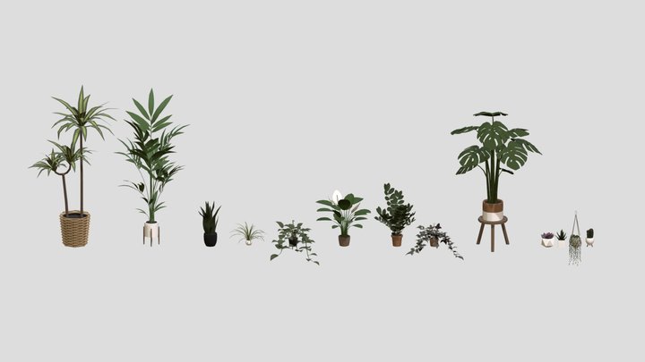 Succulent Sketchup