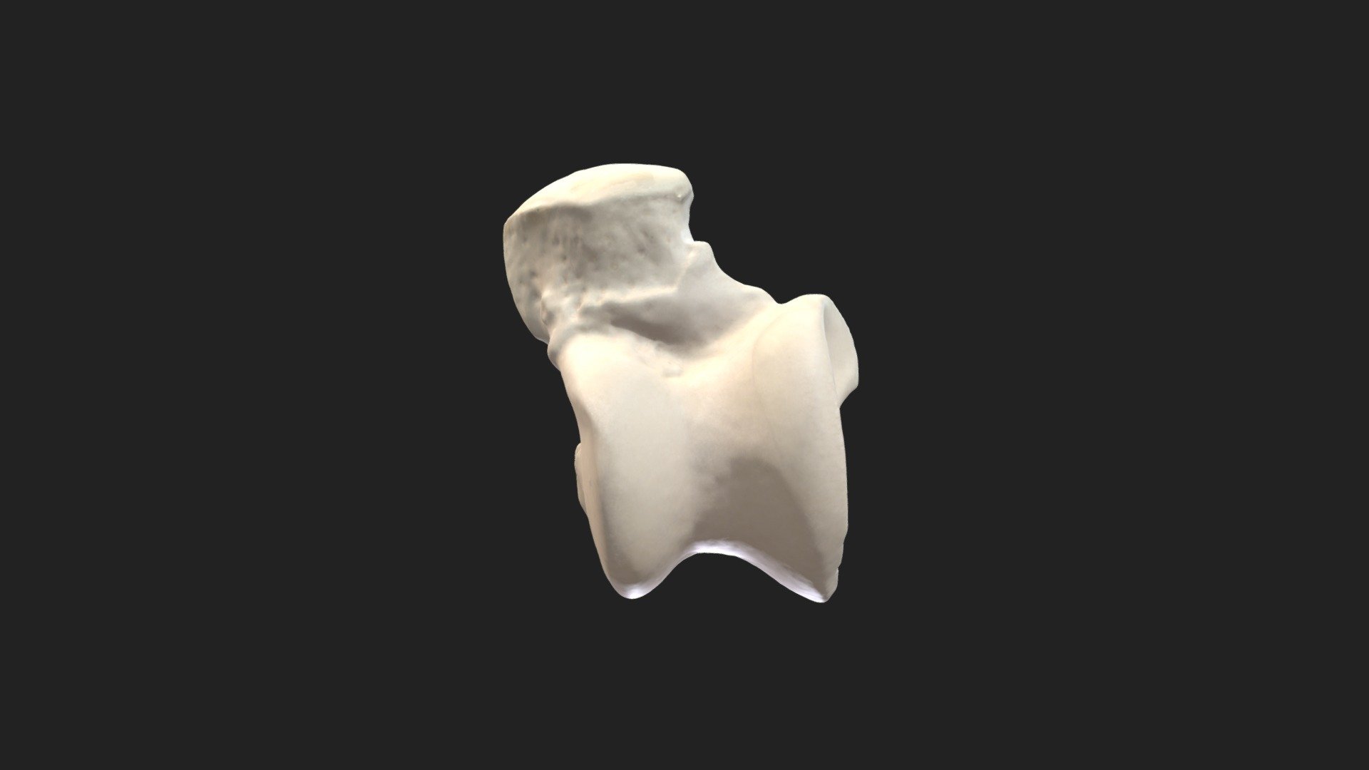 talus dog - 3D model by vetanatMunich [c507c0f] - Sketchfab