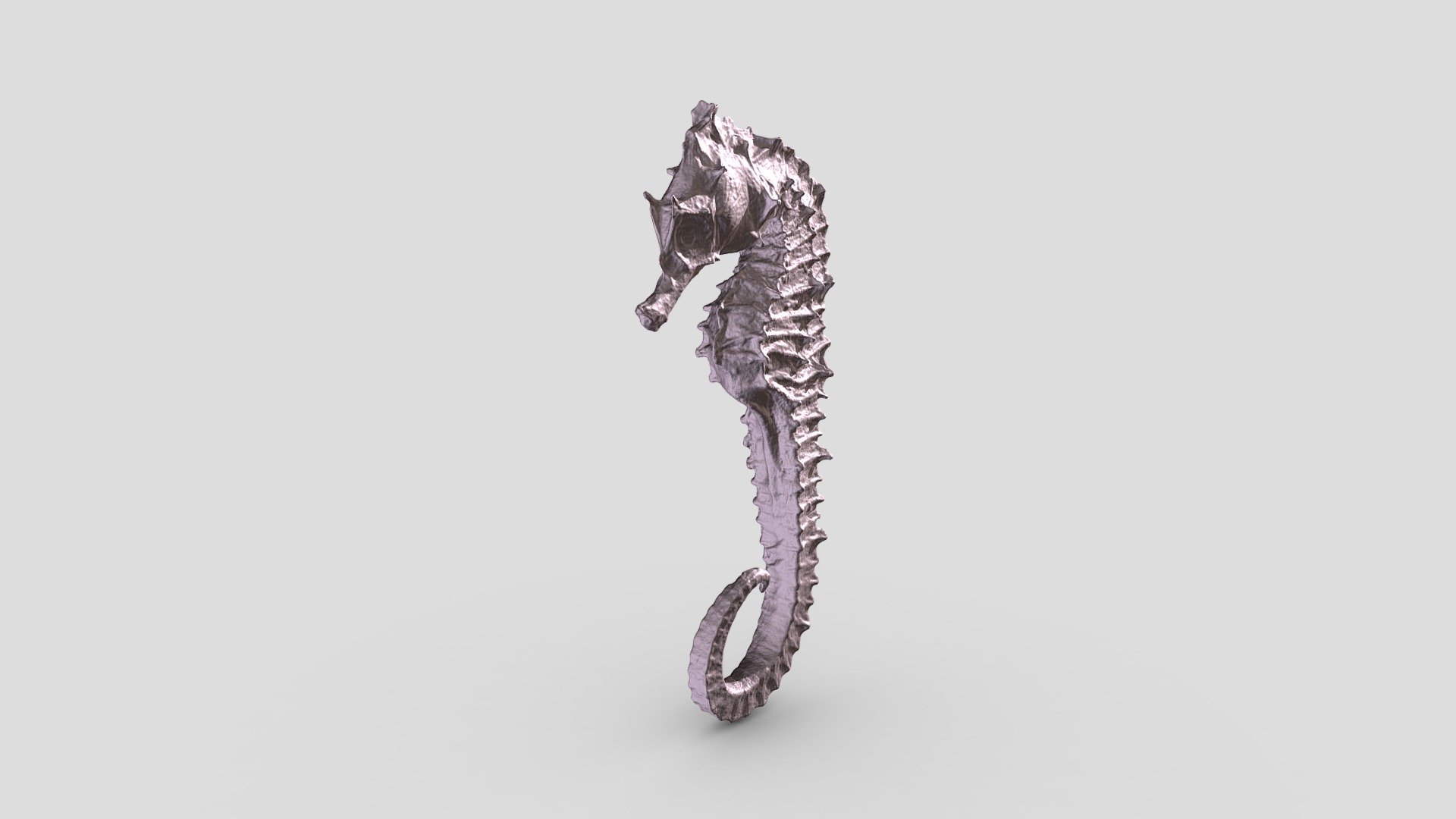 sea horse - Download Free 3D model by Diana Liu (@Diana123456) [c5082bb ...