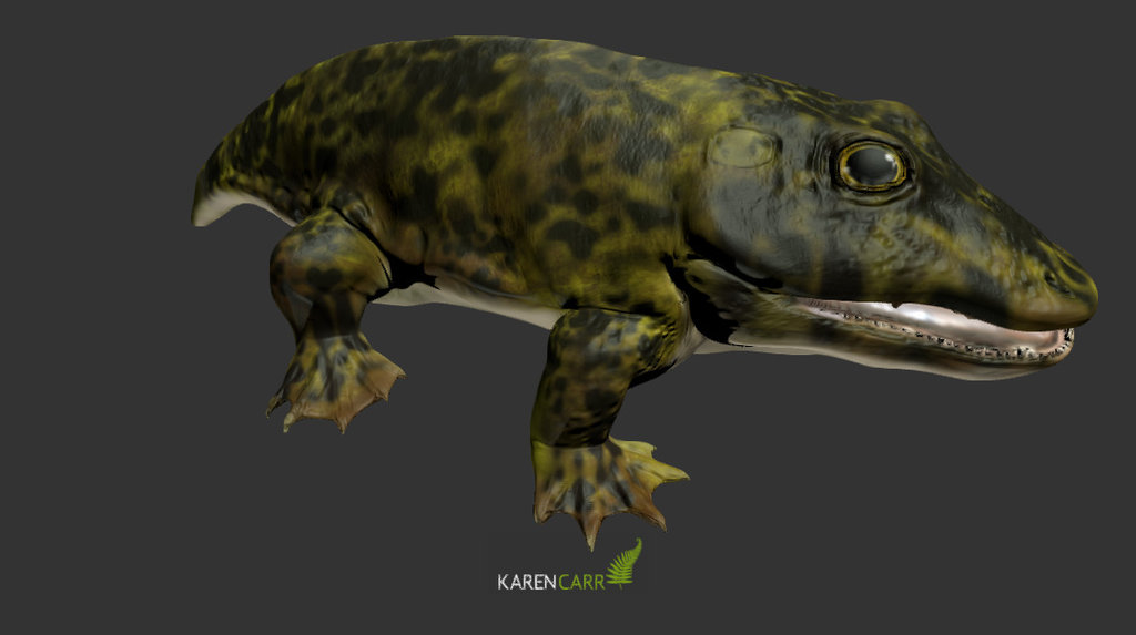 SVP 75th Anniversary Eryops - 3D model by Karen Carr Studio (@rcgauer ...