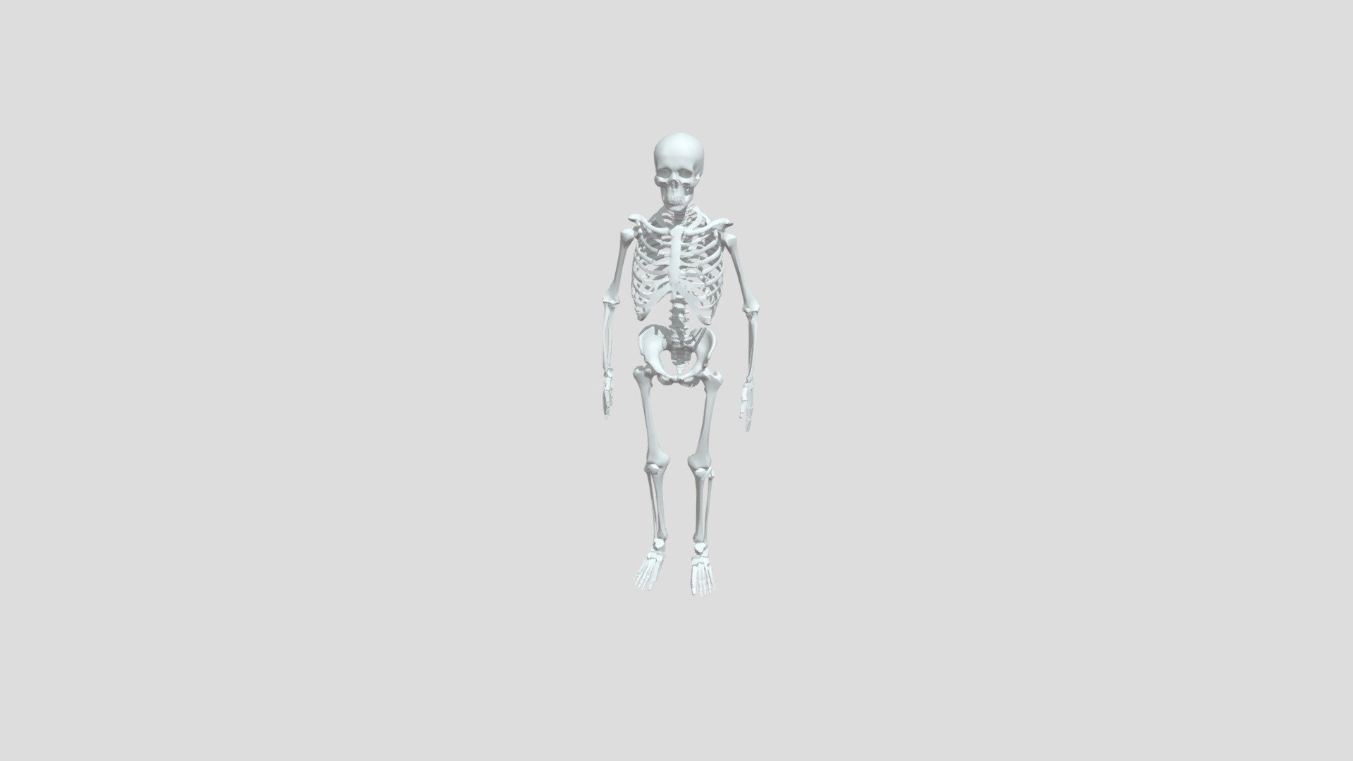 rangka_manusia - Download Free 3D model by robbishimozuki [c5112bd ...